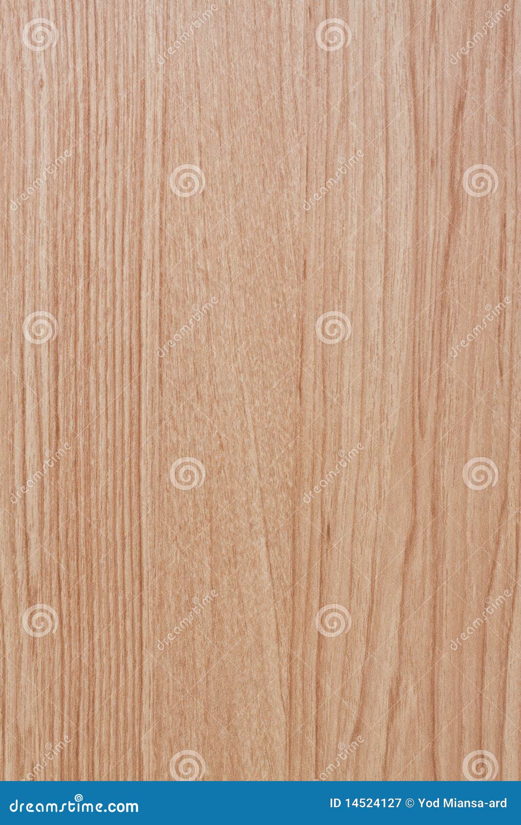 Grains of wood stock image. Image of hardwood, grain - 14524127