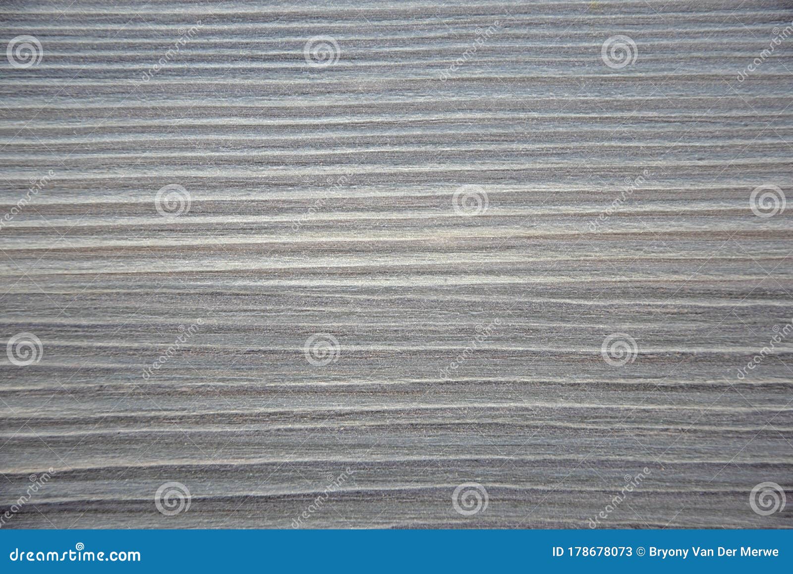 Grainy Grey Wood Background Texture Stock Image - Image of timber ...