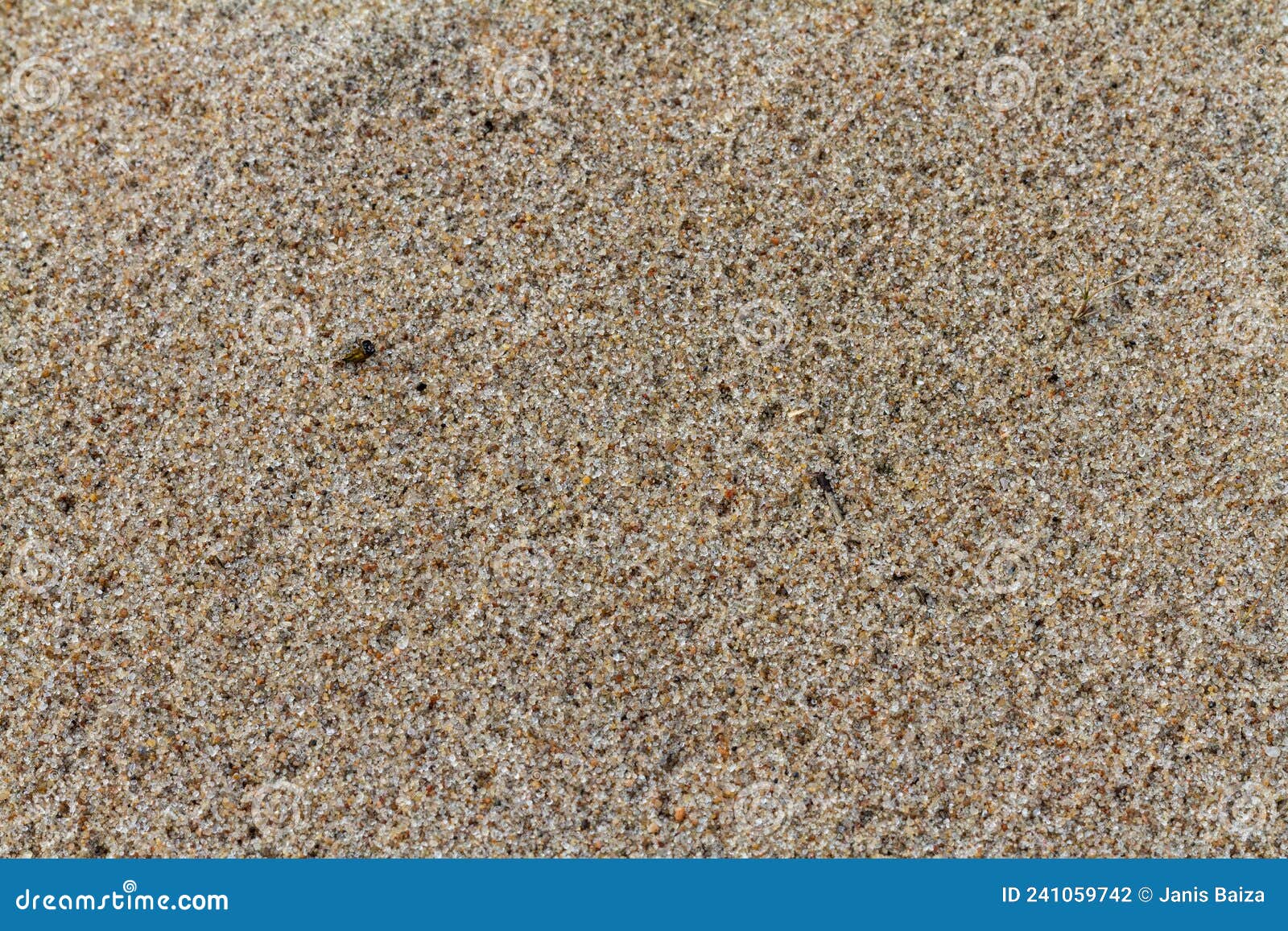 Grainy Sand Stone Texture Stock Photography | CartoonDealer.com #51870542