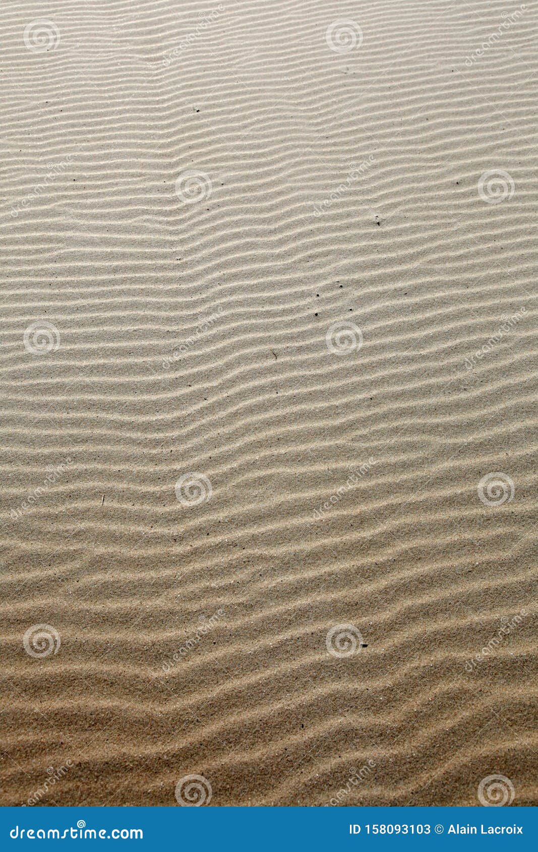 Sand texture shadow stock image. Image of arid, deserts - 158093103