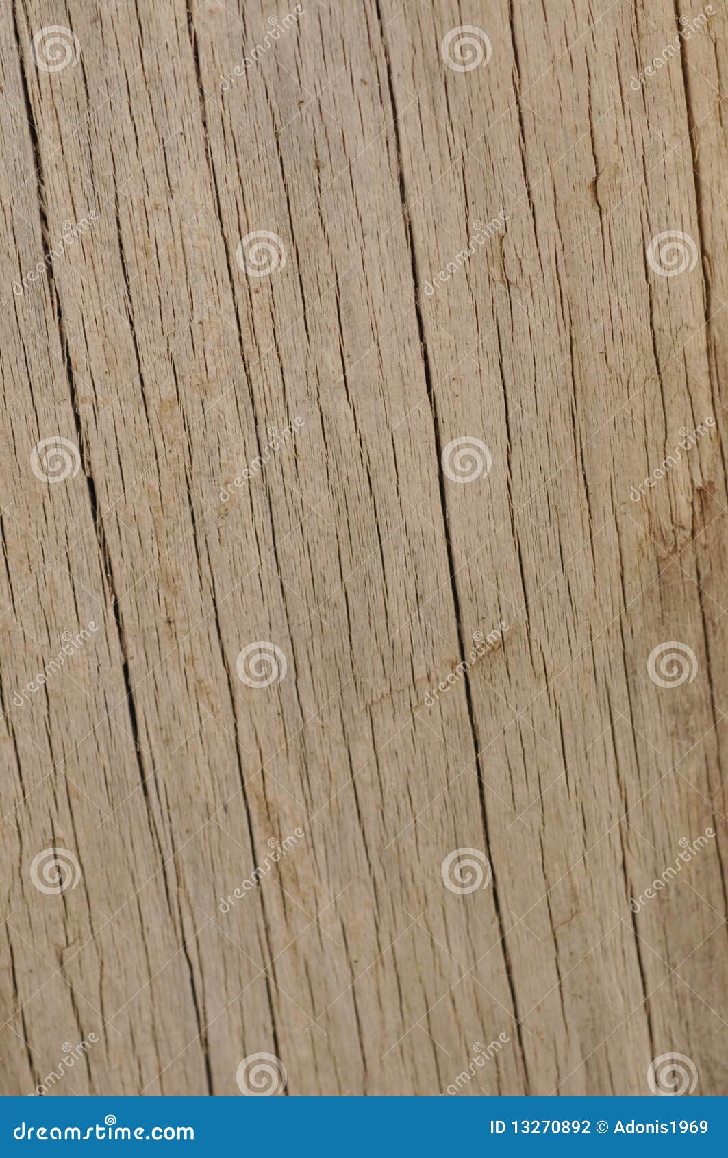 Grainy wood background stock photo. Image of surface - 13270892