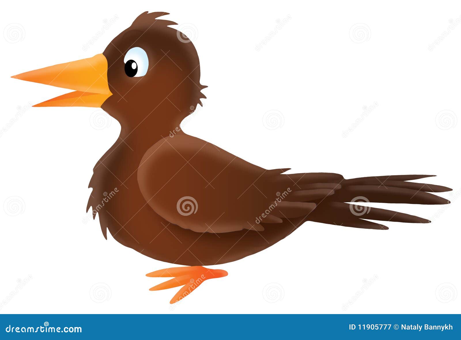 Grajo stock de ilustración. Ilustración de aves, salvaje - 11905777