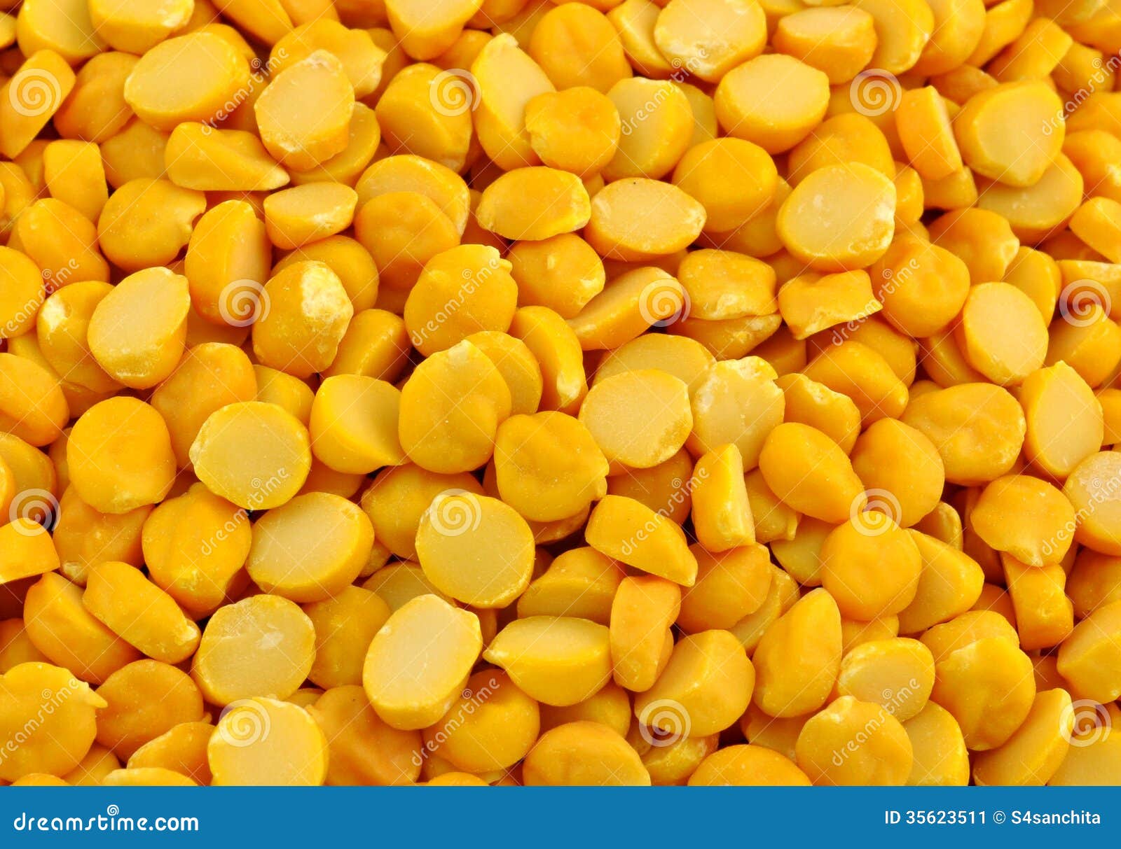 Gram pulse stock image. Image of pile, food, yellow, seed - 35623511