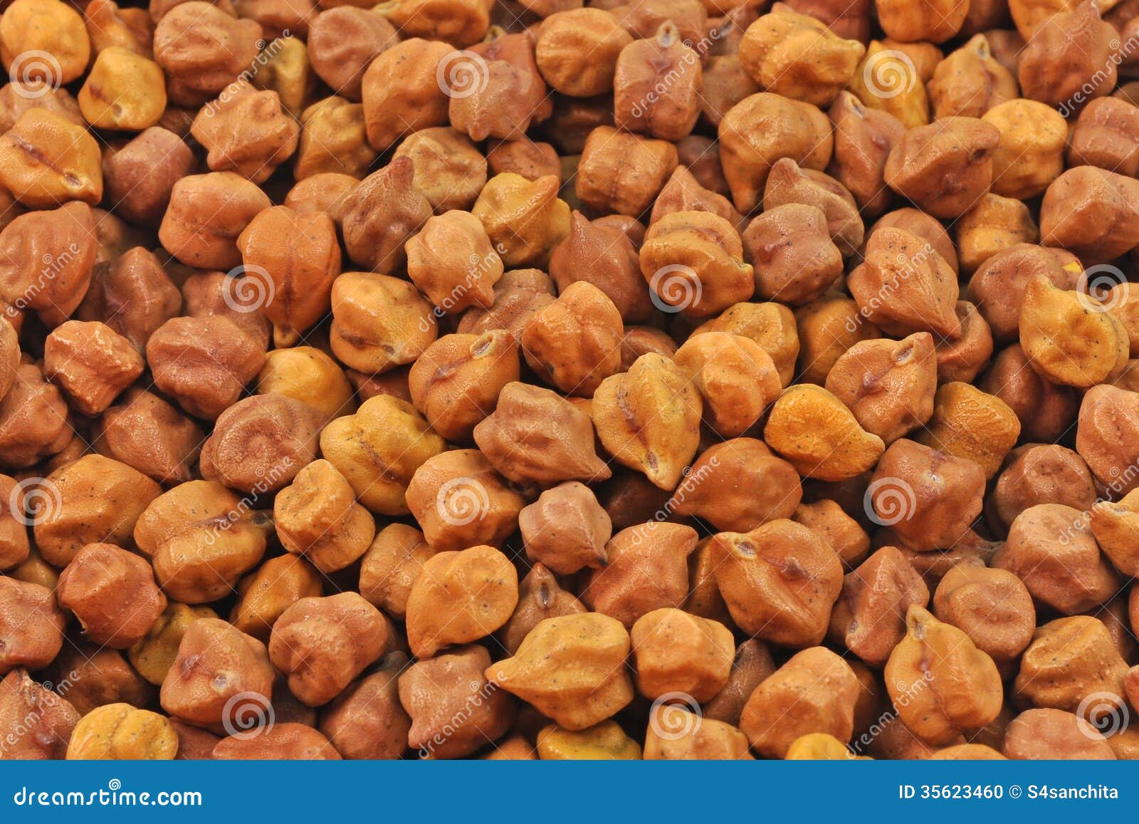 Gram seeds stock photo. Image of chana, wrinkled, fresh - 35623460