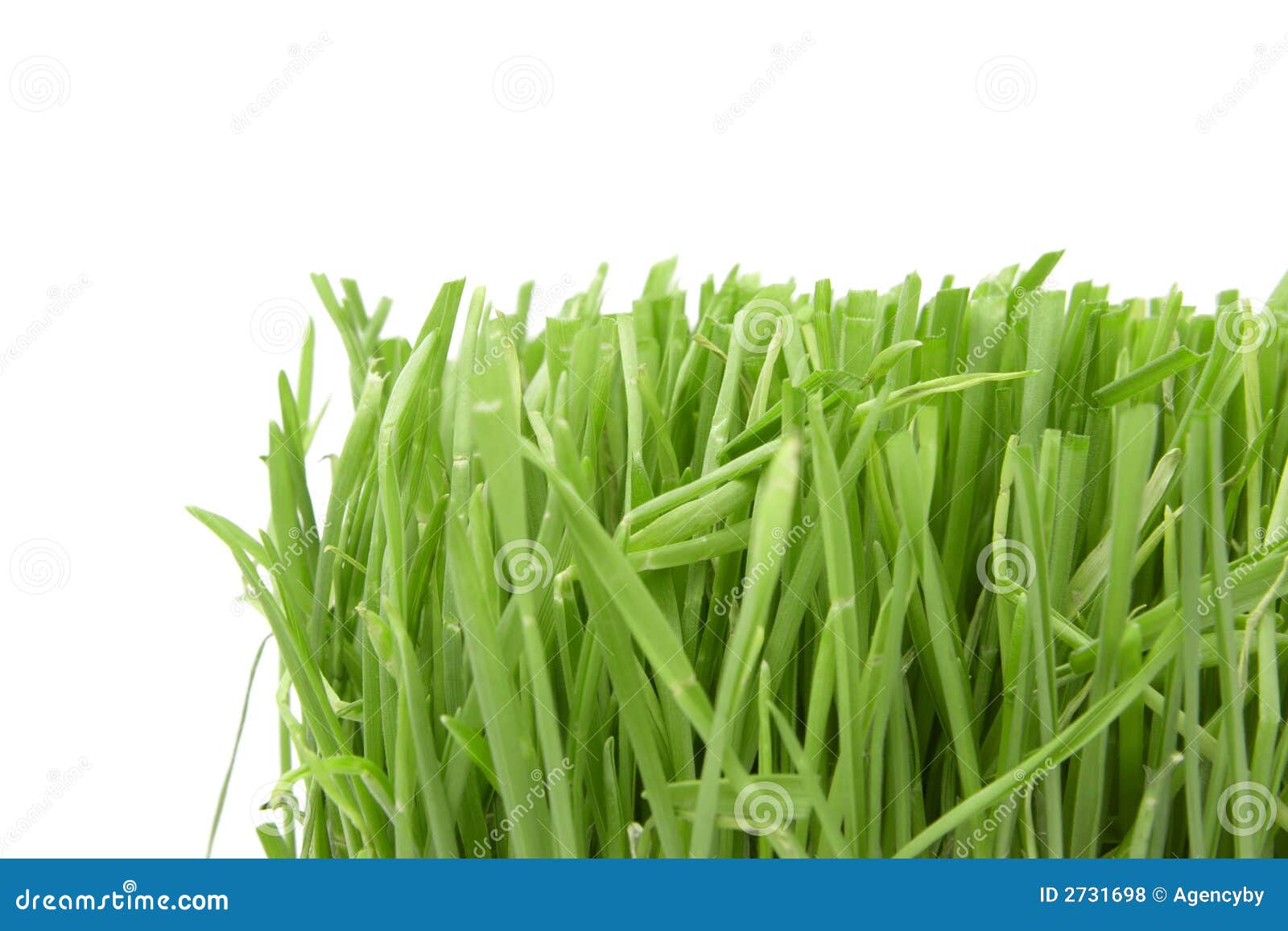 Grama bonita foto de stock. Imagem de objeto, crescimento - 2731698