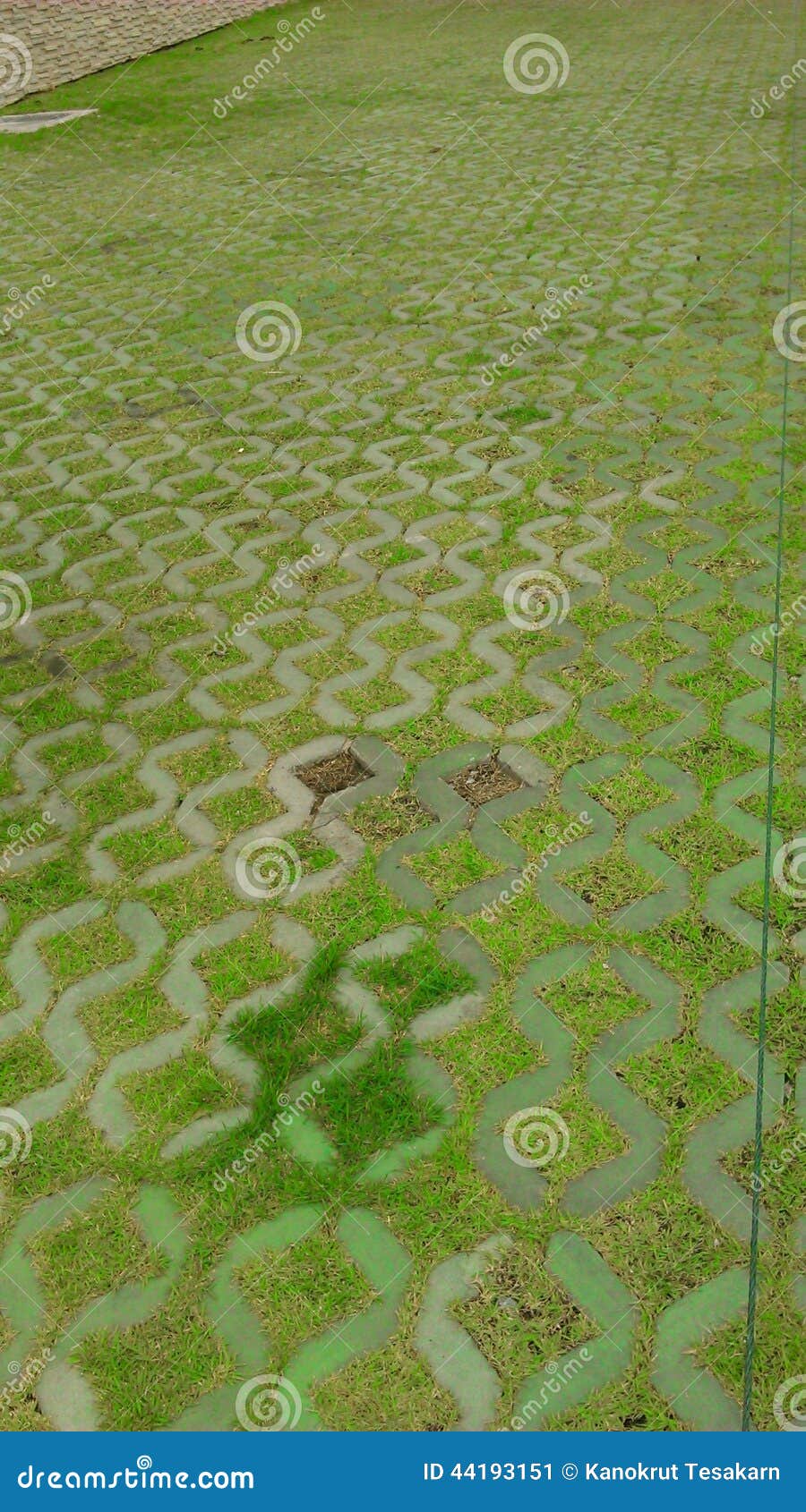 Gramado da grama do bloco imagem de stock. Imagem de gramado - 44193151