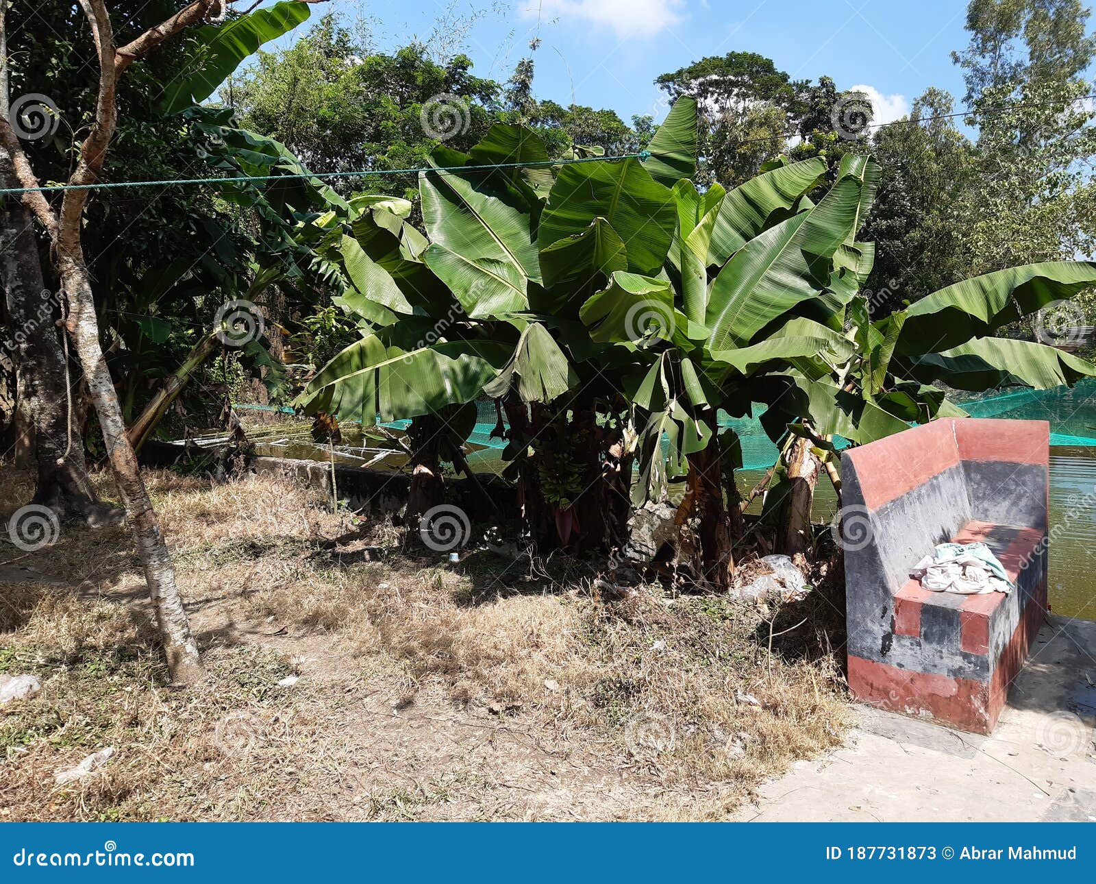 Gramer pukur ghat imagen de archivo. Imagen de verde - 187731873