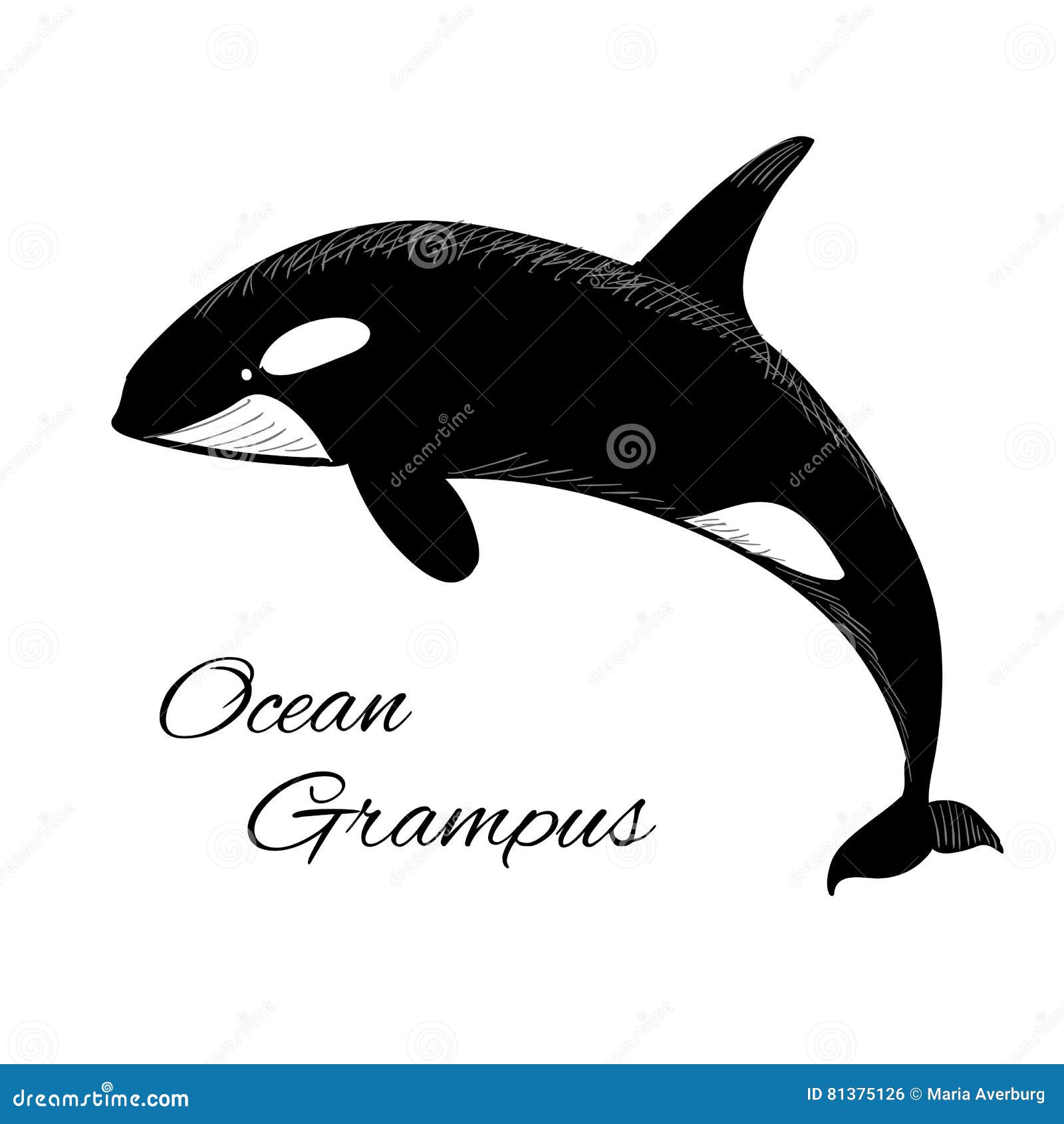 Grampus Icon Vector Isolated On White Background, Logo Concept O ...