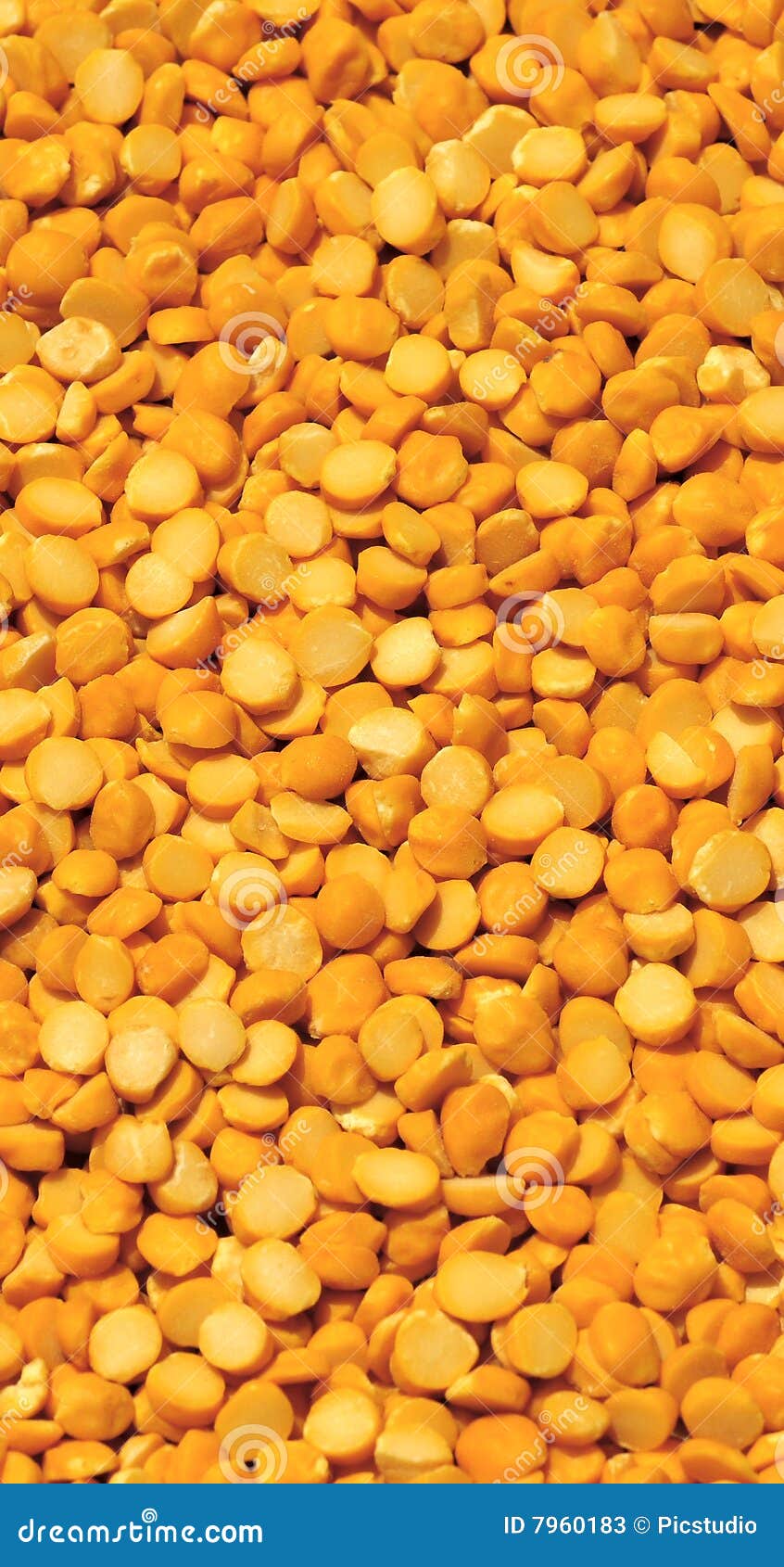 Grams stock image. Image of chana, organic, grams, fabaceae - 7960183