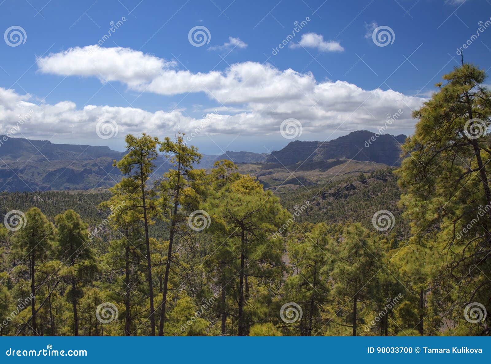 Gran Central Canaria, Reserva Natural Inagua Foto de Stock - Imagem de ...