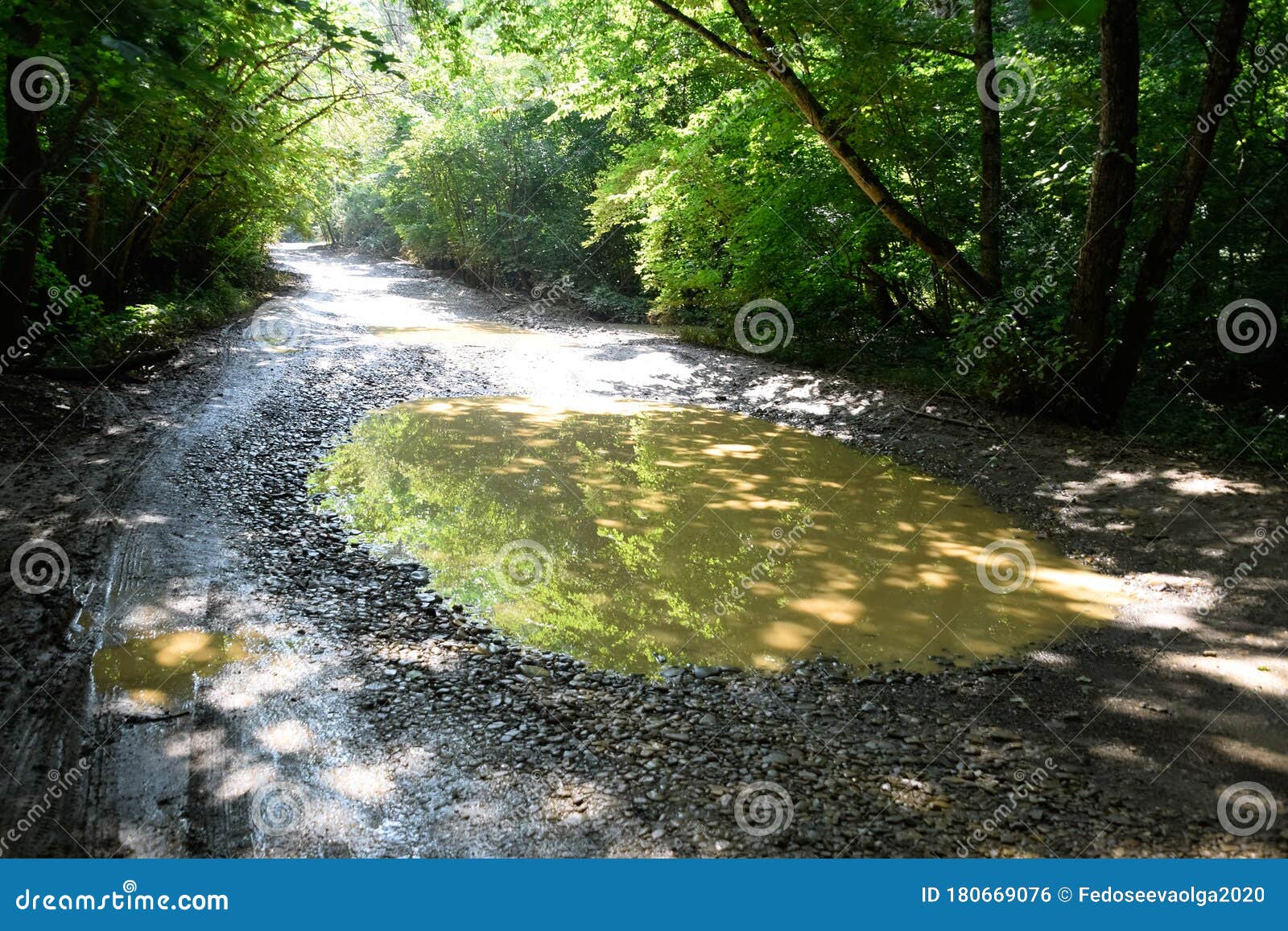 Gran Charco En Un Camino De Tierra Foto de archivo - Imagen de sucio ...