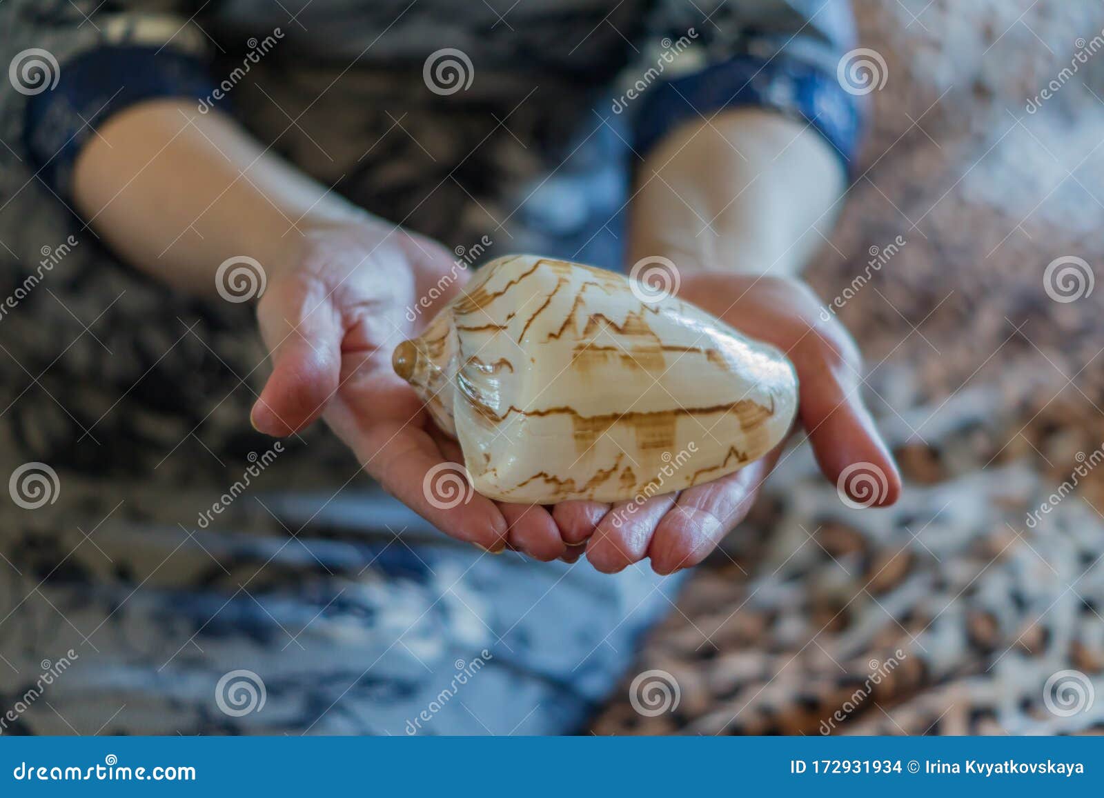 Gran Concha En Las Manos De La Mujer Foto de archivo - Imagen de ...
