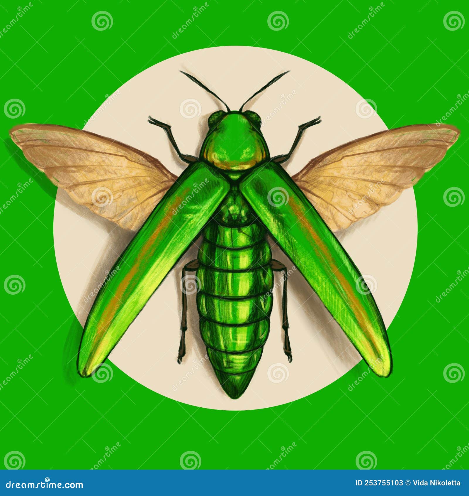 Gran insecto verde imagen de archivo. Imagen de verde - 253755103