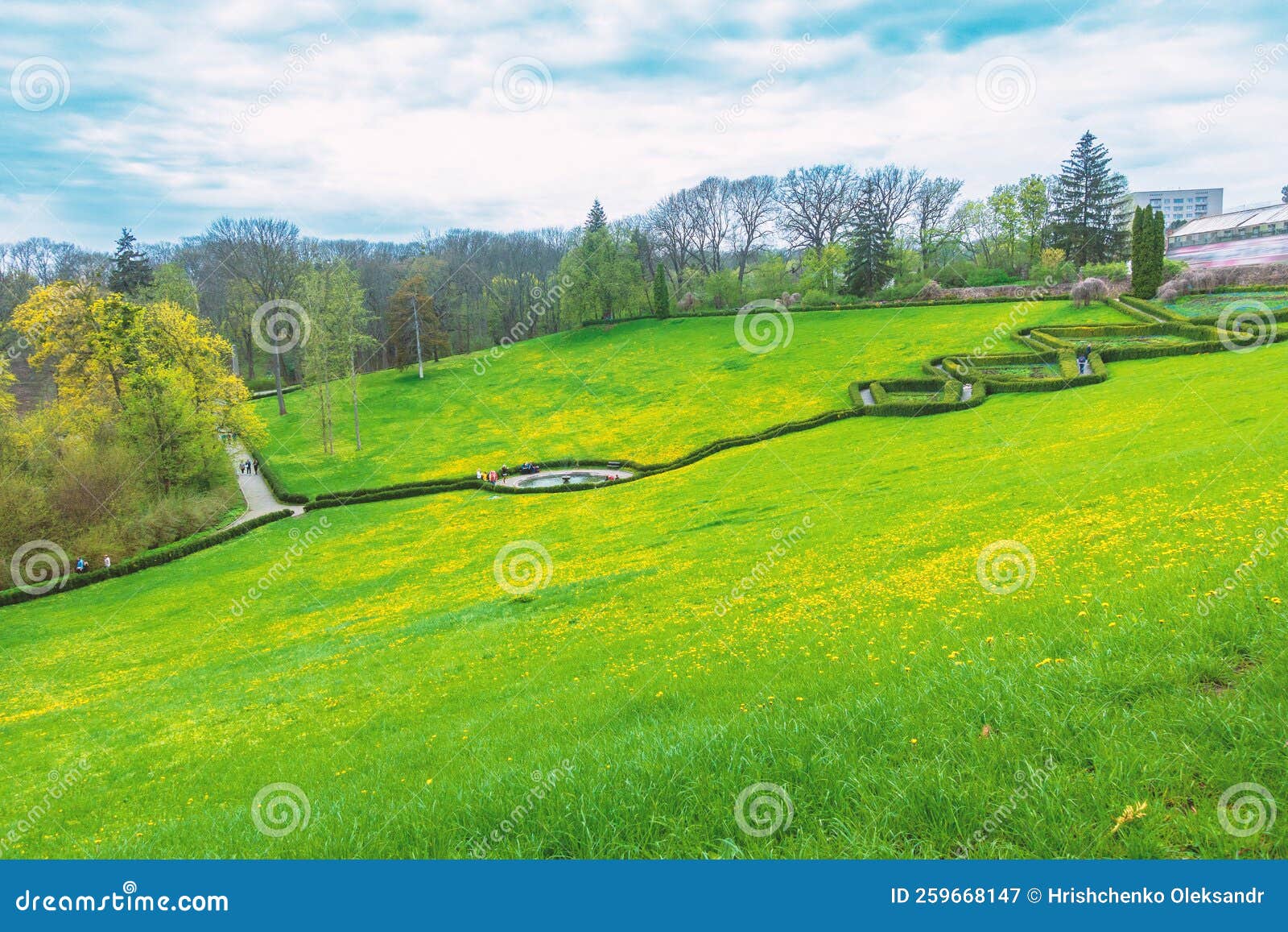Gran Pradera Verde Con Una Fuente En El Parque Imagen de archivo ...
