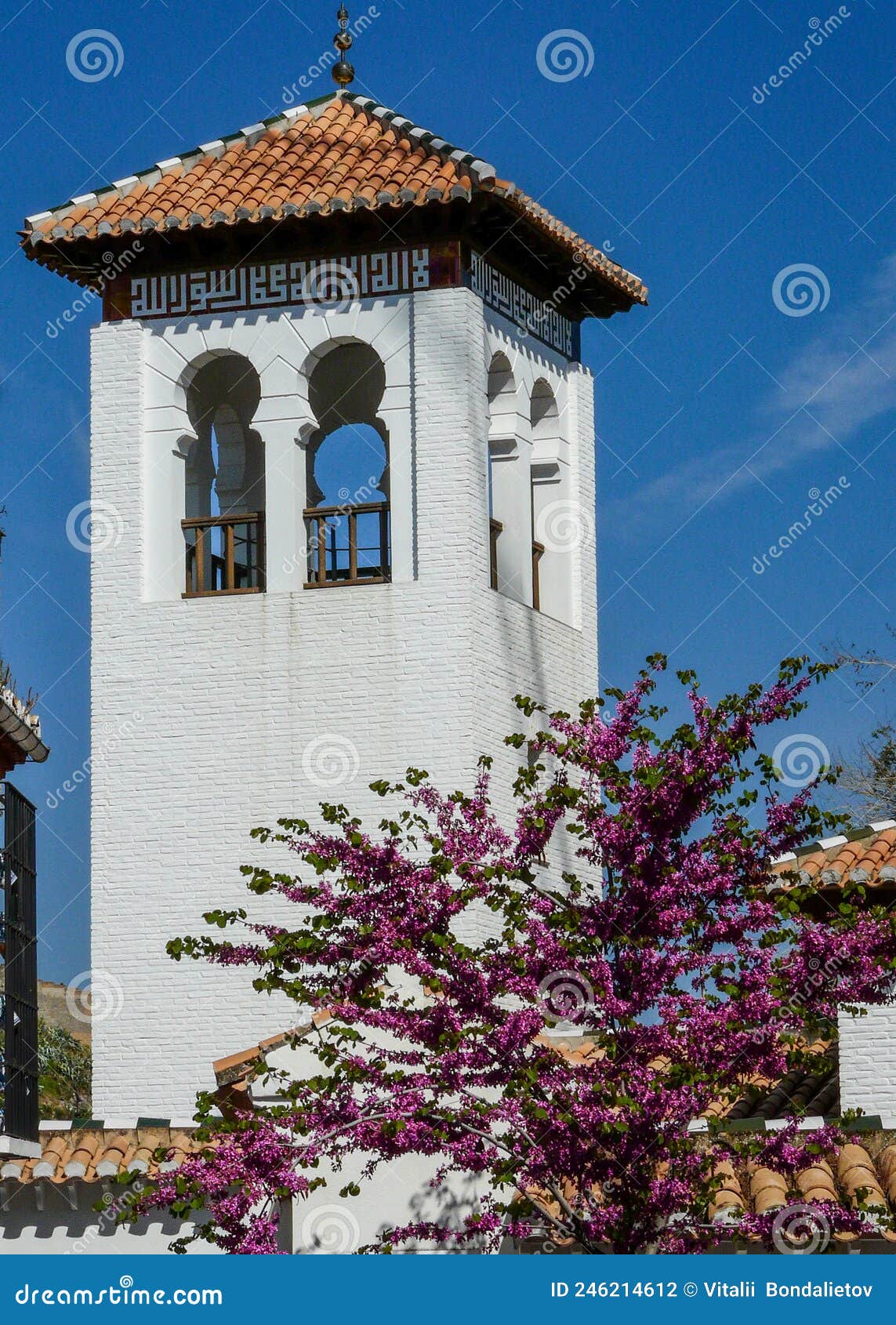 The Granada Mosque and a Beautiful Tree Stock Photo - Image of holidays ...