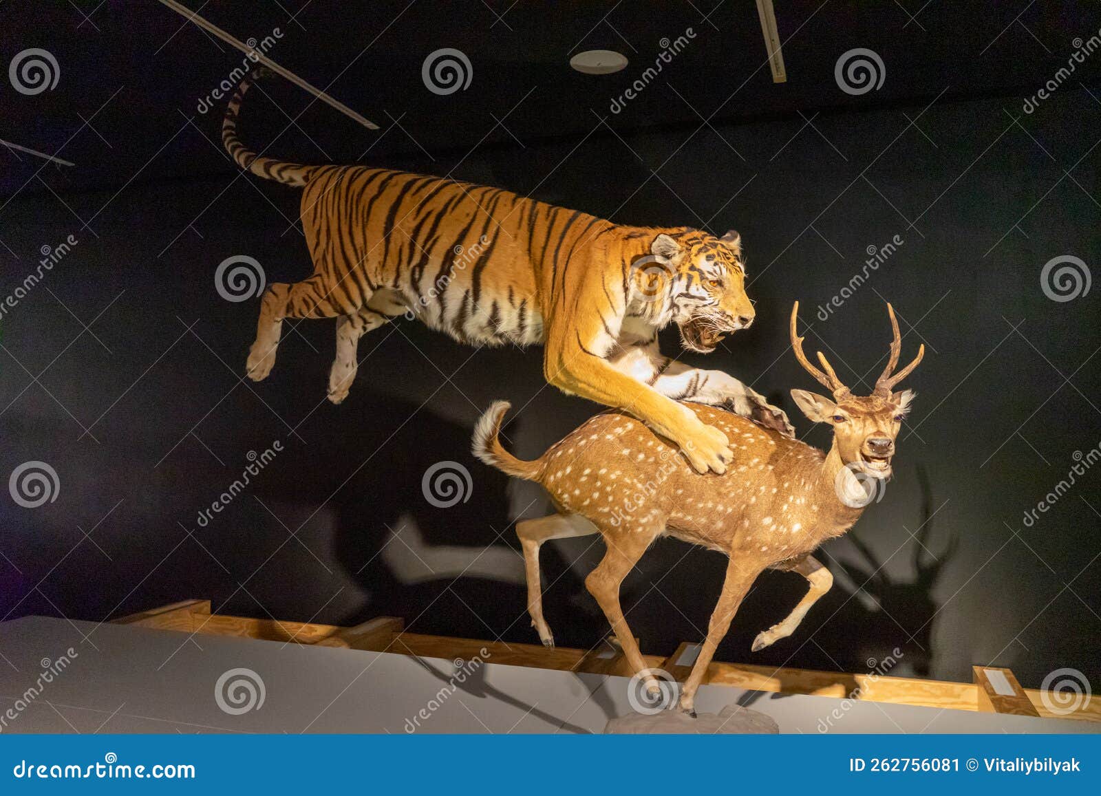 The Science Park Museum in Granada, Spain on September 25, 2022 ...