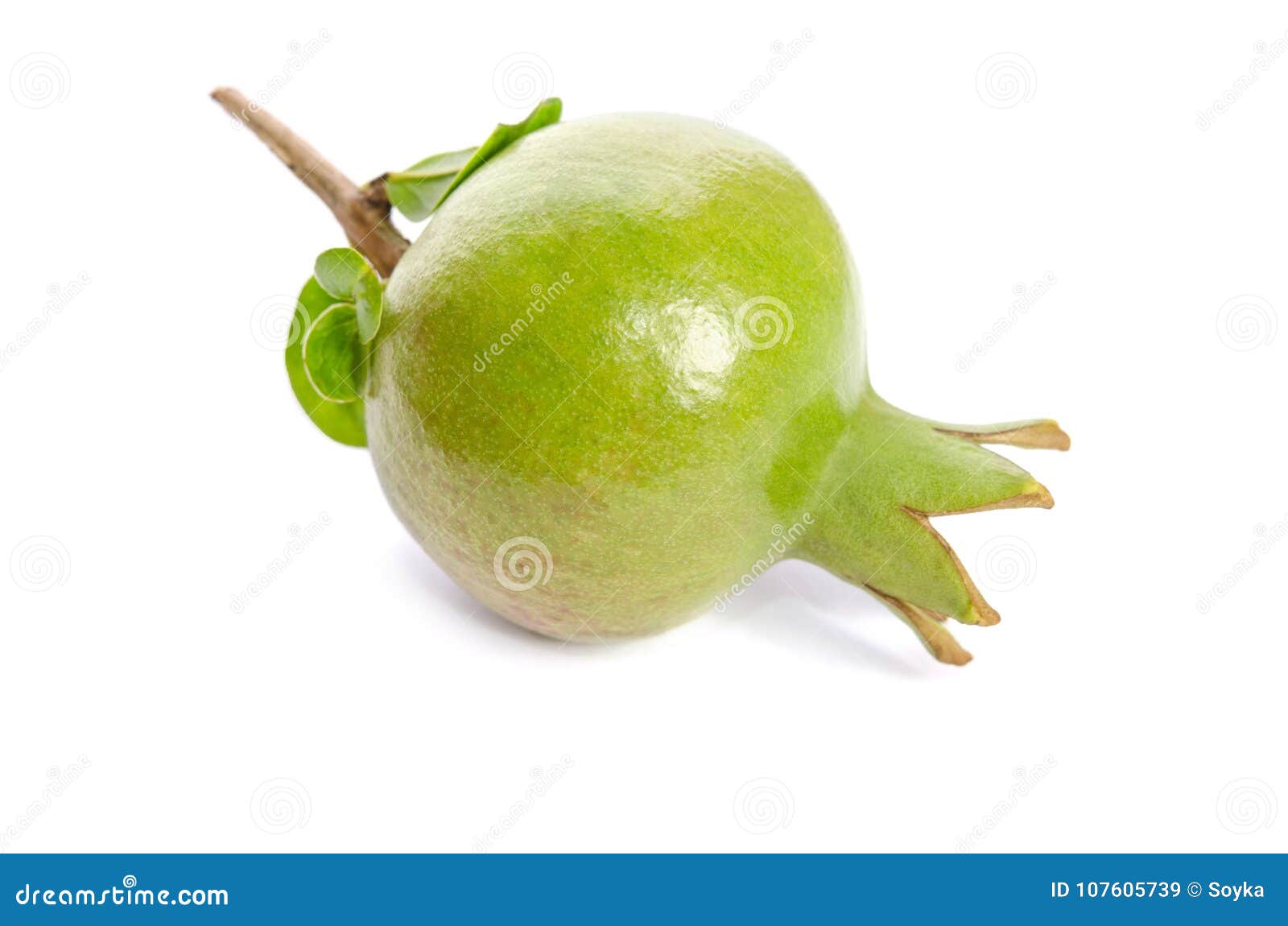 Granada Verde Con Las Hojas Imagen de archivo - Imagen de planta, fruta ...