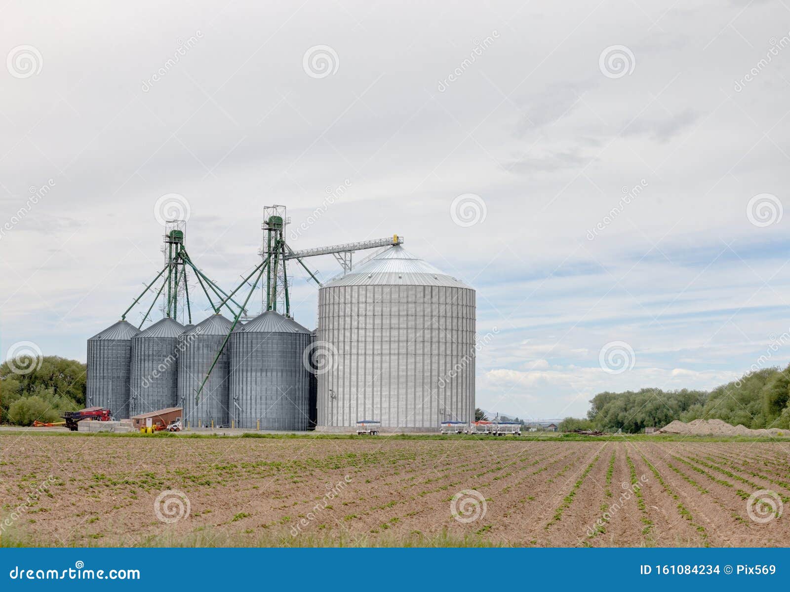 Large Corrugated Steel Granaries for Storing Cereal Grains. Stock Photo ...