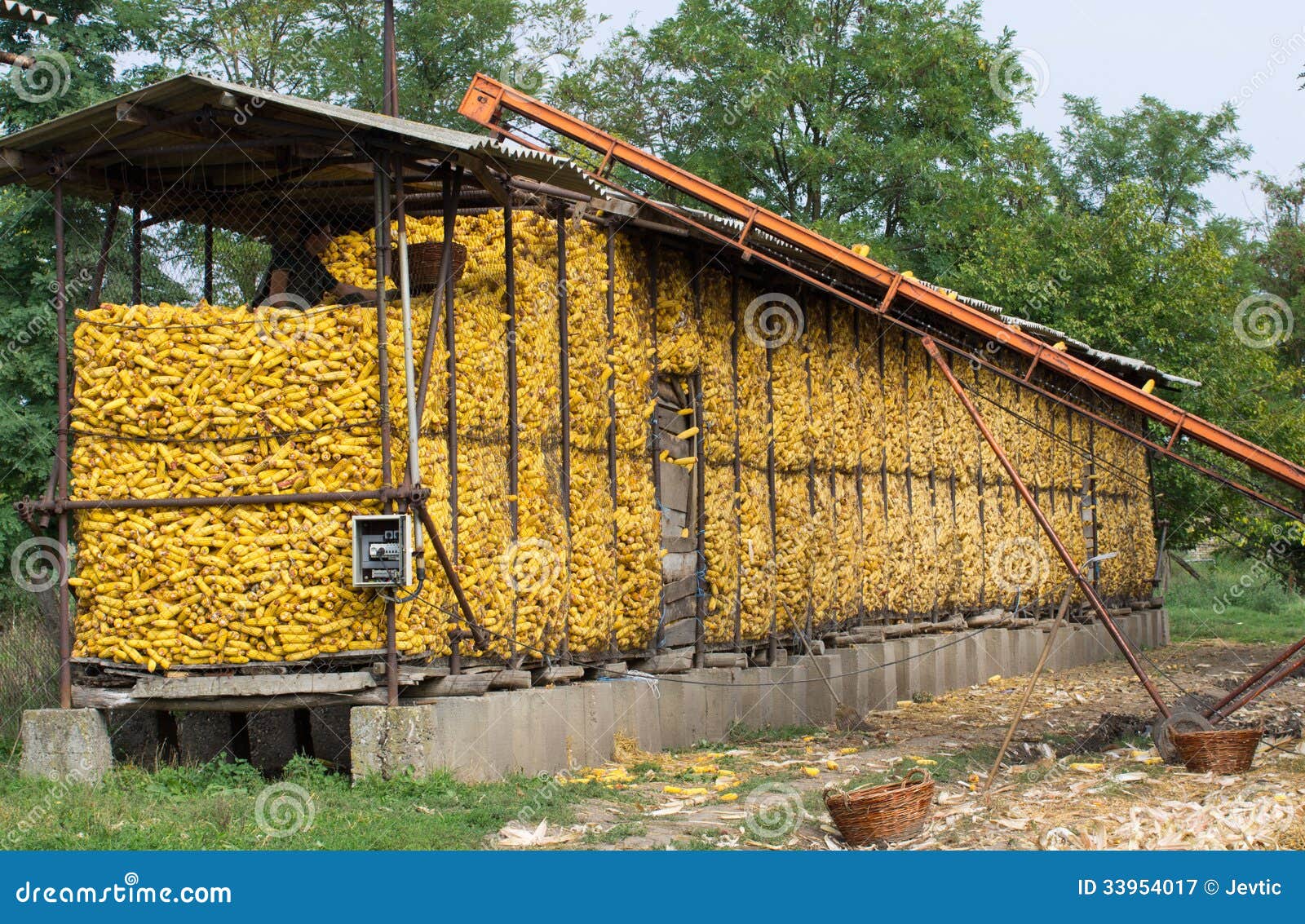 Granary stock image. Image of silo, cobs, ears, agriculture - 33954017
