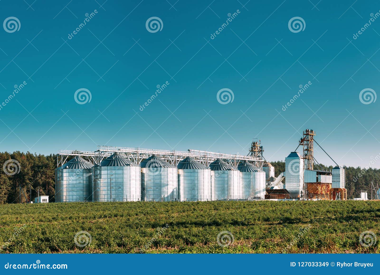 Granary, Grain-drying Complex, Commercial Grain or Seed Silos in Stock ...