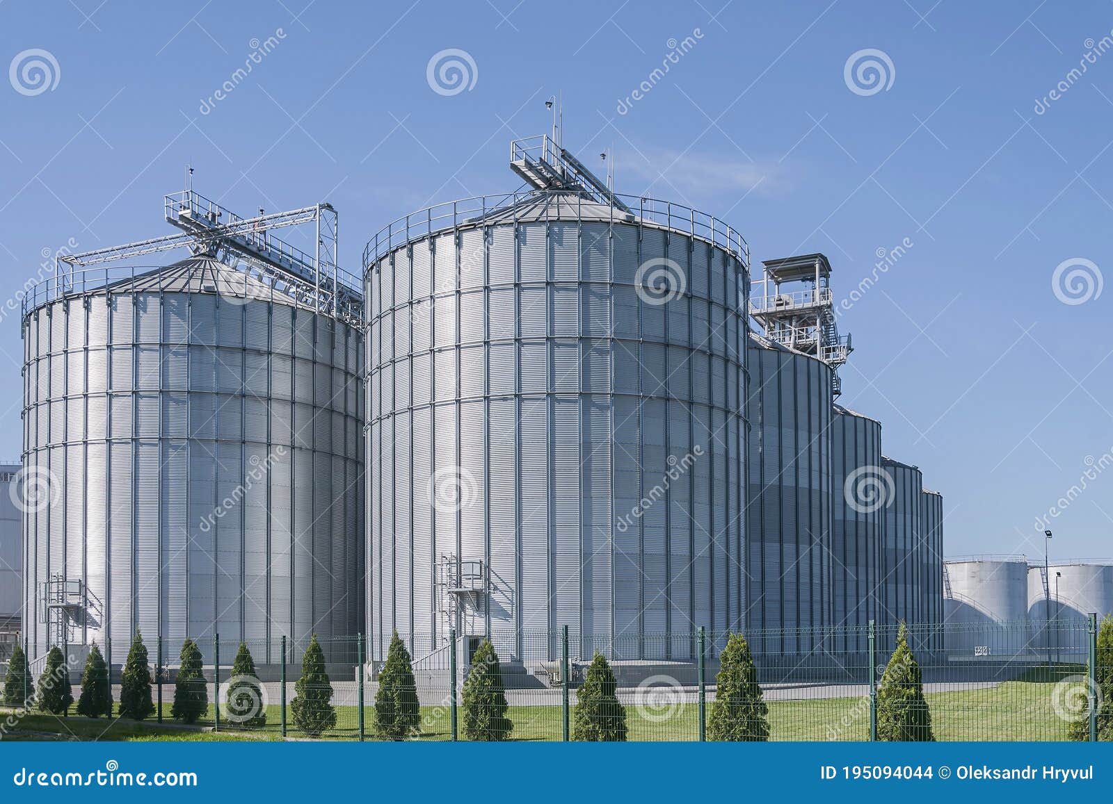 Granary. a Large Modern Agro-processing Plant for the Storage and ...