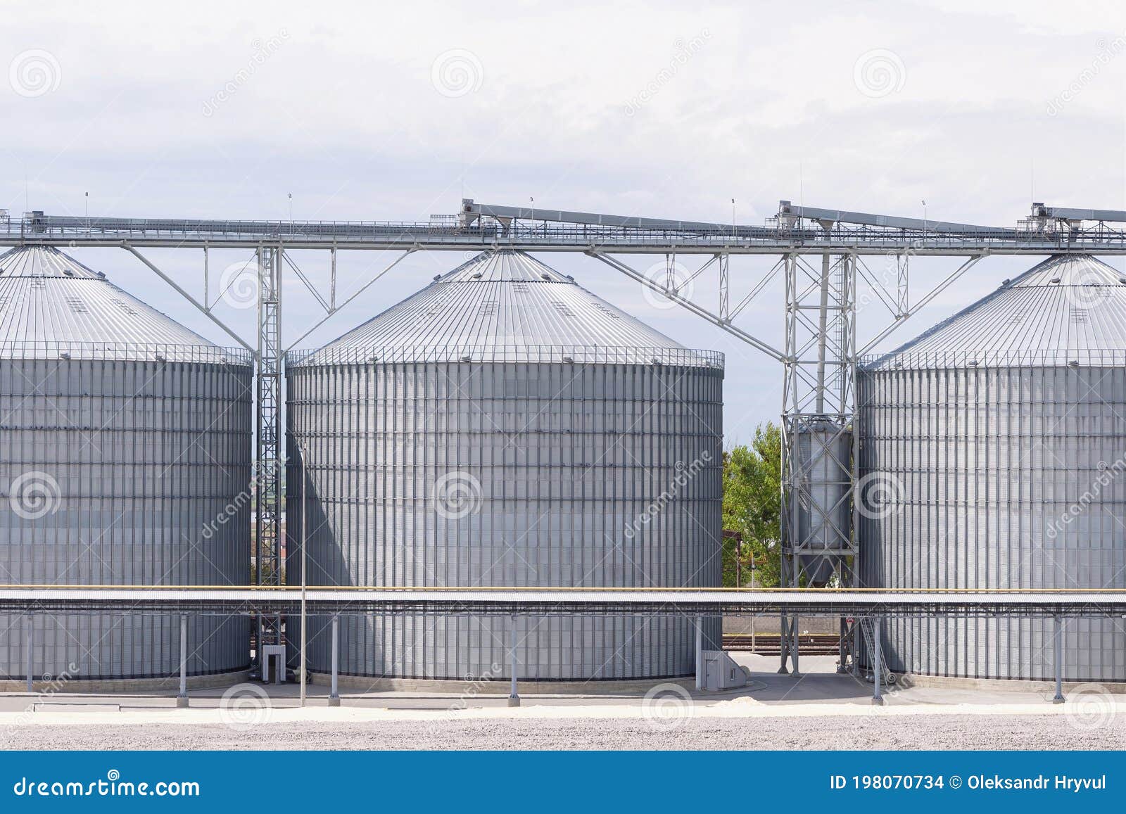 Granary. a Large Modern Agro-processing Plant for the Storage and ...