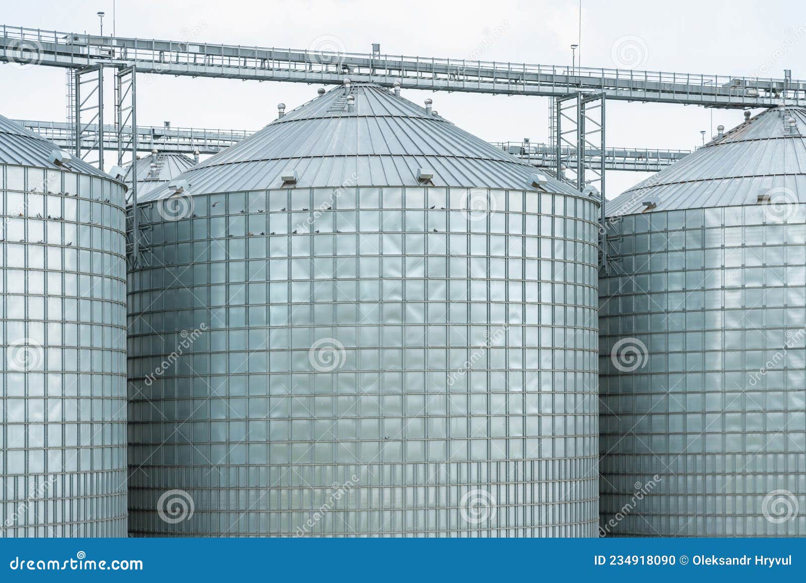 Granary. a Large Modern Agro-processing Plant for the Storage and ...
