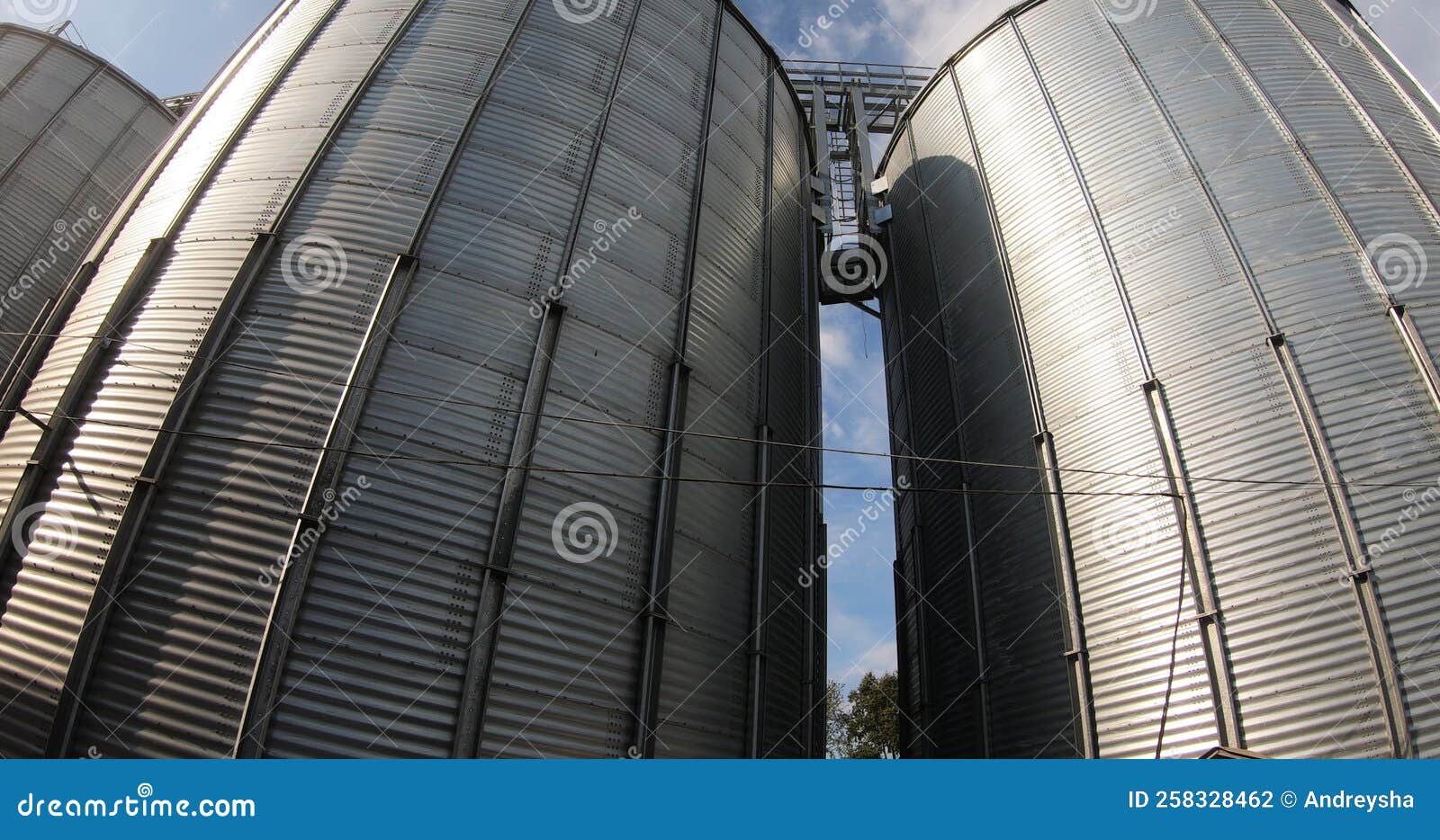 Granary. Tanks for Processing and Storage of Soybean and Wheat Grains ...