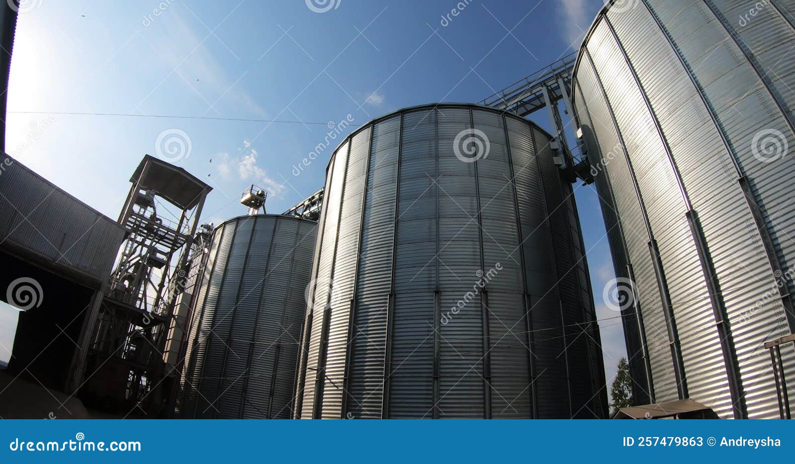 Granary. Tanks for Processing and Storage of Soybean and Wheat Grains ...