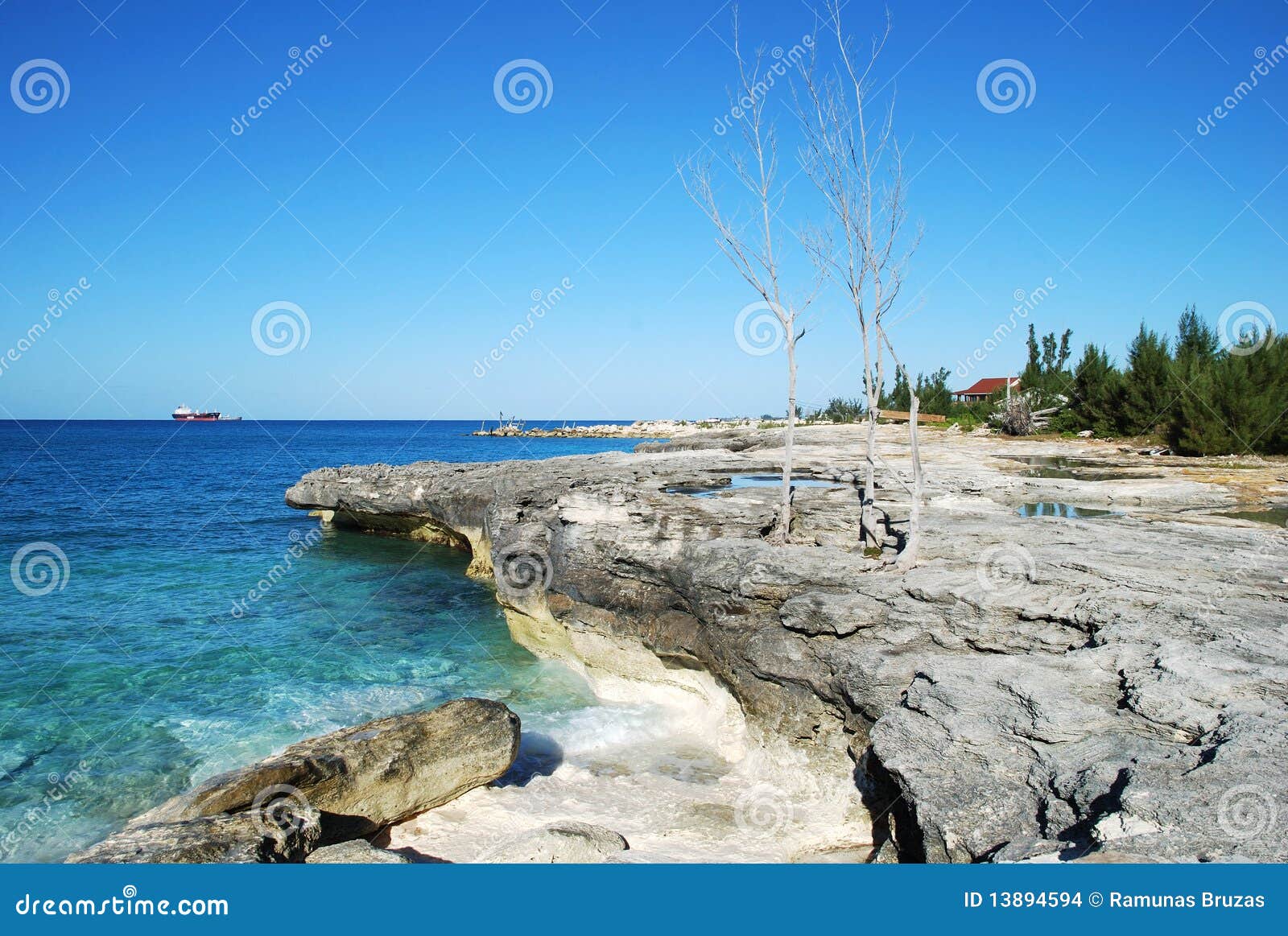 Grand Bahama Island Landscape Stock Photo - Image of travel, bahamas ...