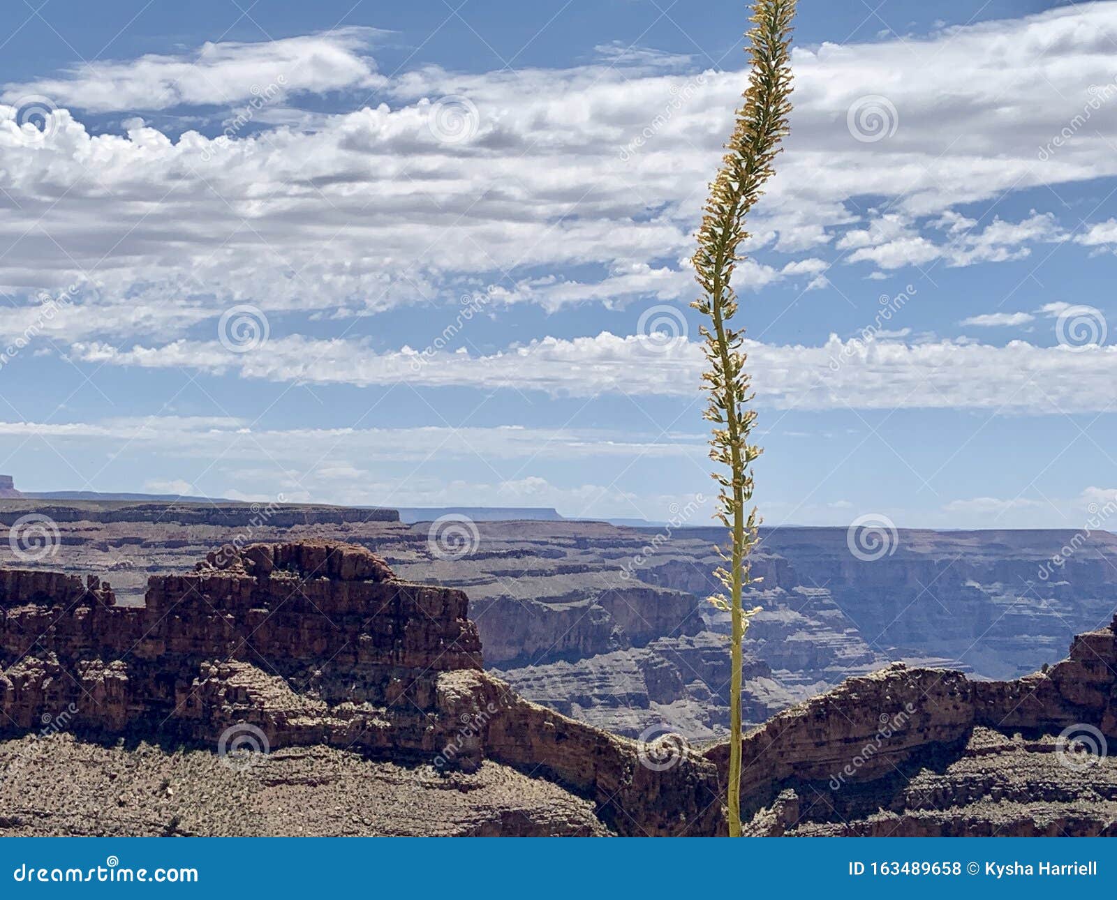 Grand Cannon West stock photo. Image of clift, west - 163489658