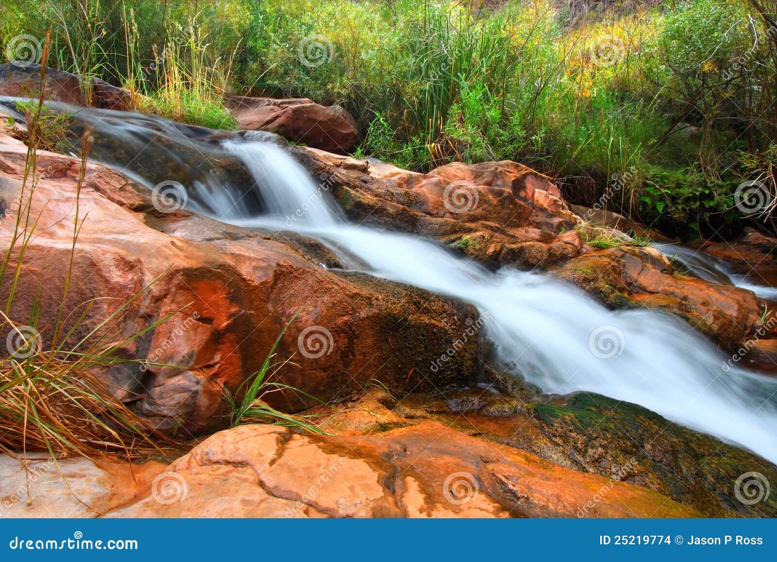 Grand Canyon Cascades stock photo. Image of riparian - 25219774