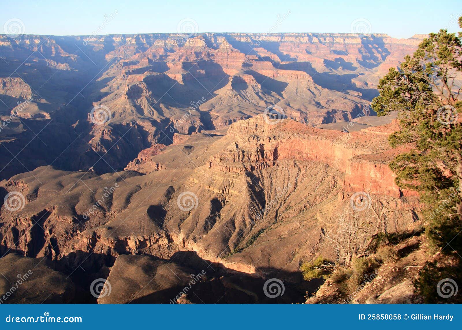 Grand Canyon Colours stock photo. Image of deep, beautiful - 25850058