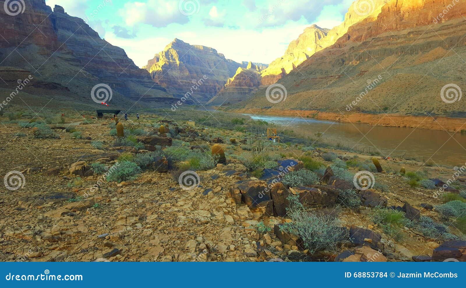 Grand canyon ground stock photo. Image of yellow, ground - 68853784