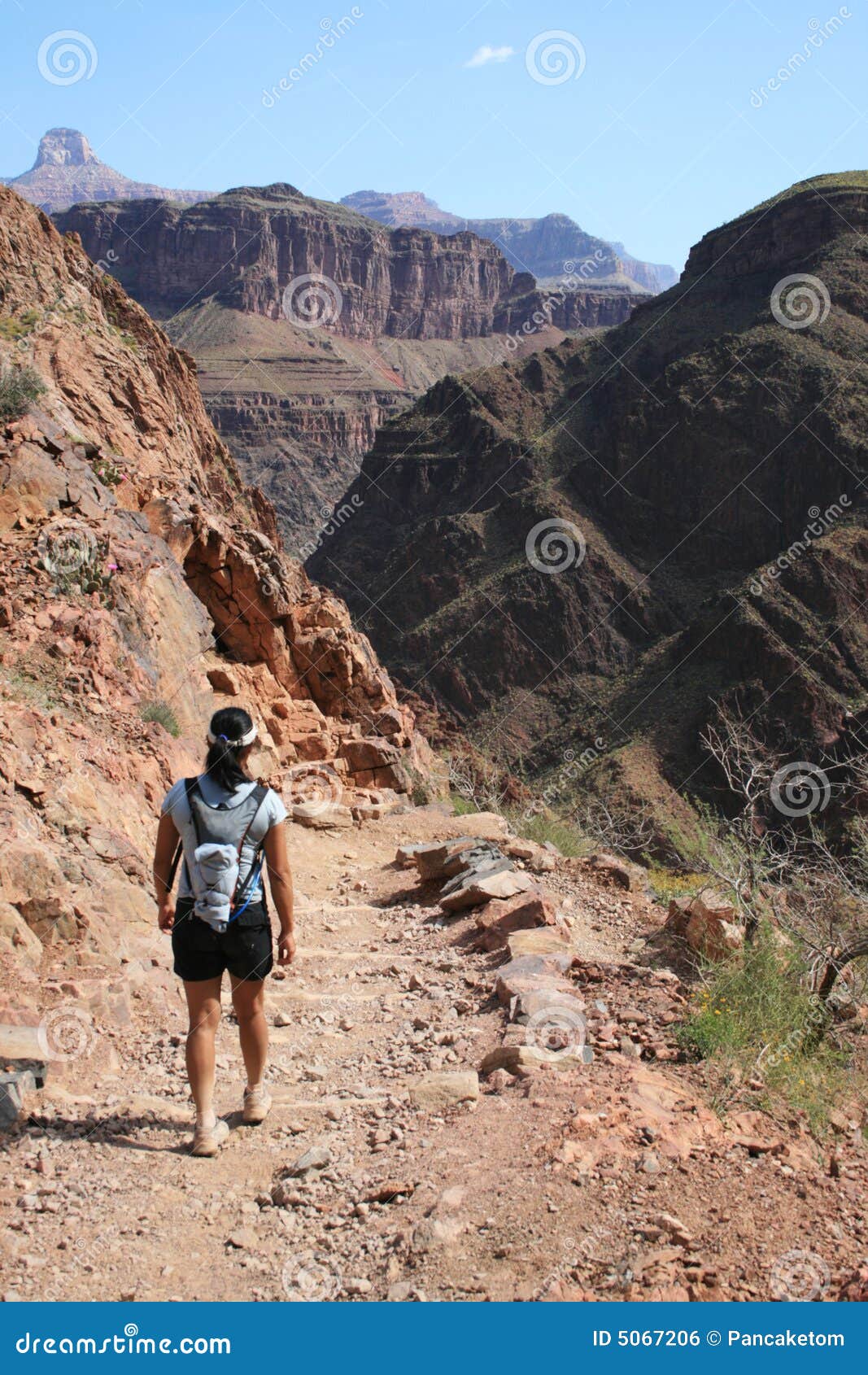 Grand Canyon hike stock photo. Image of adult, exercise - 5067206