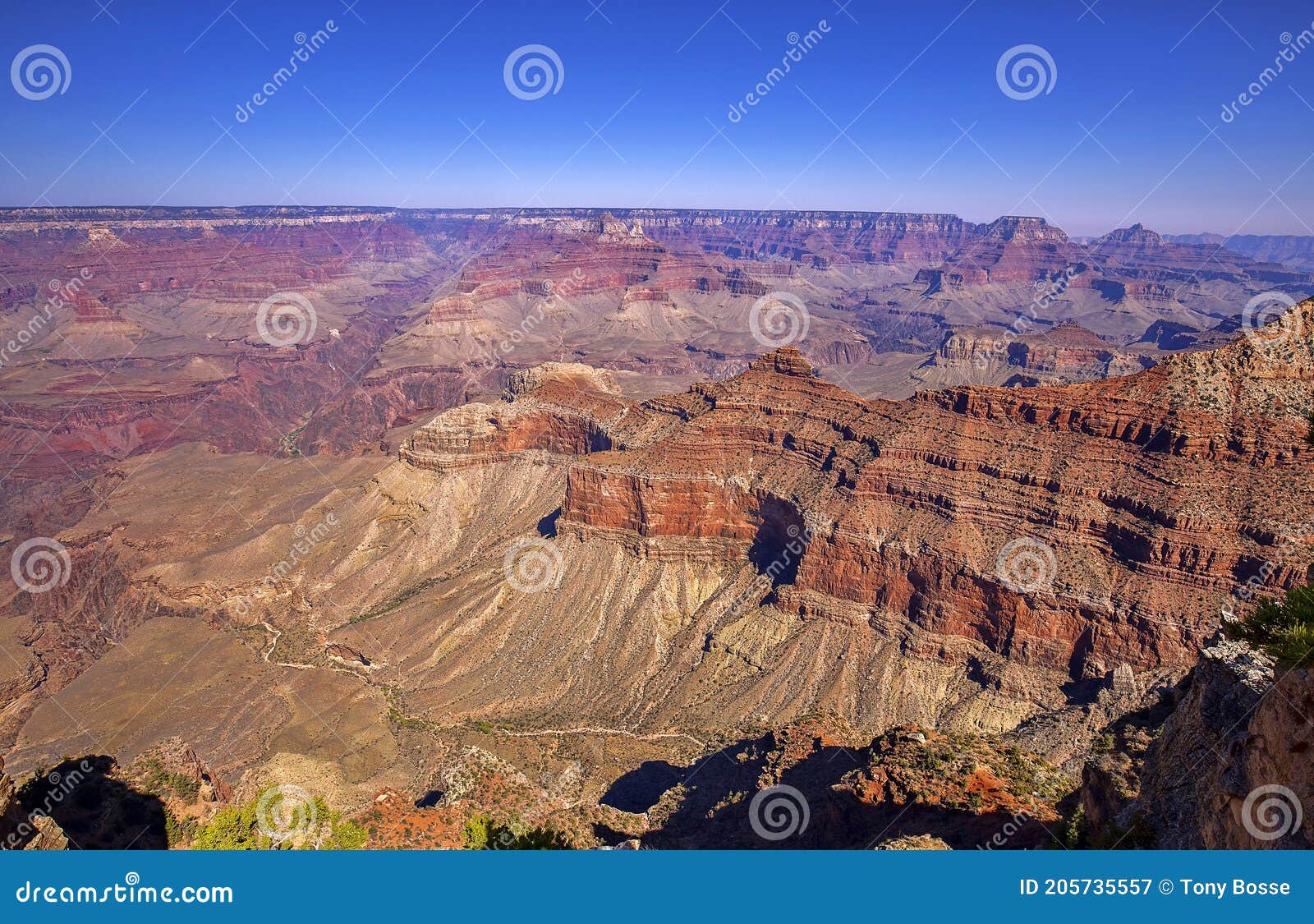 Grand Canyon at Mather Point Stock Image - Image of terrain, landscapes ...