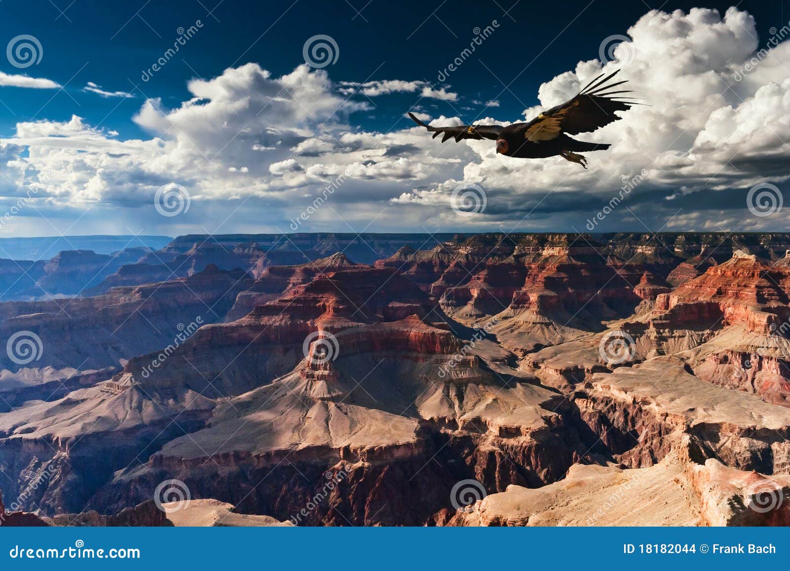 Grand Canyon National Park stock photo. Image of grand - 18182044