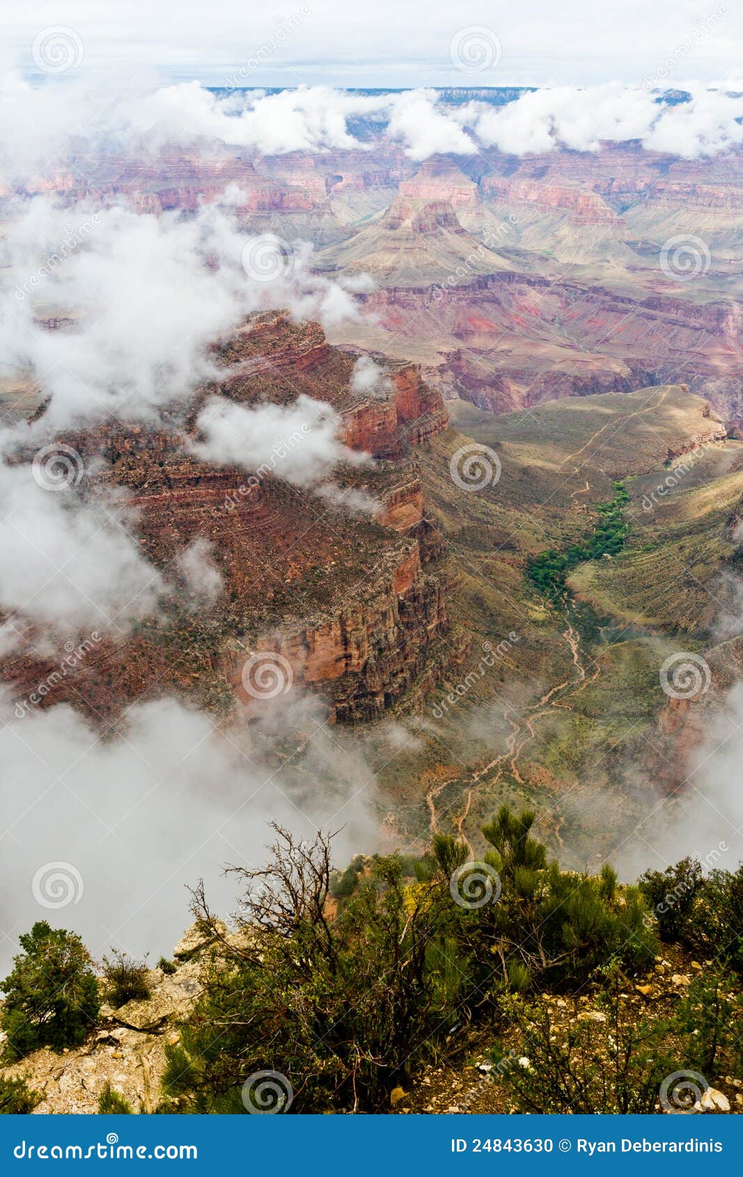 Grand Canyon National Park Cloud Inversion Stock Photo - Image of ...