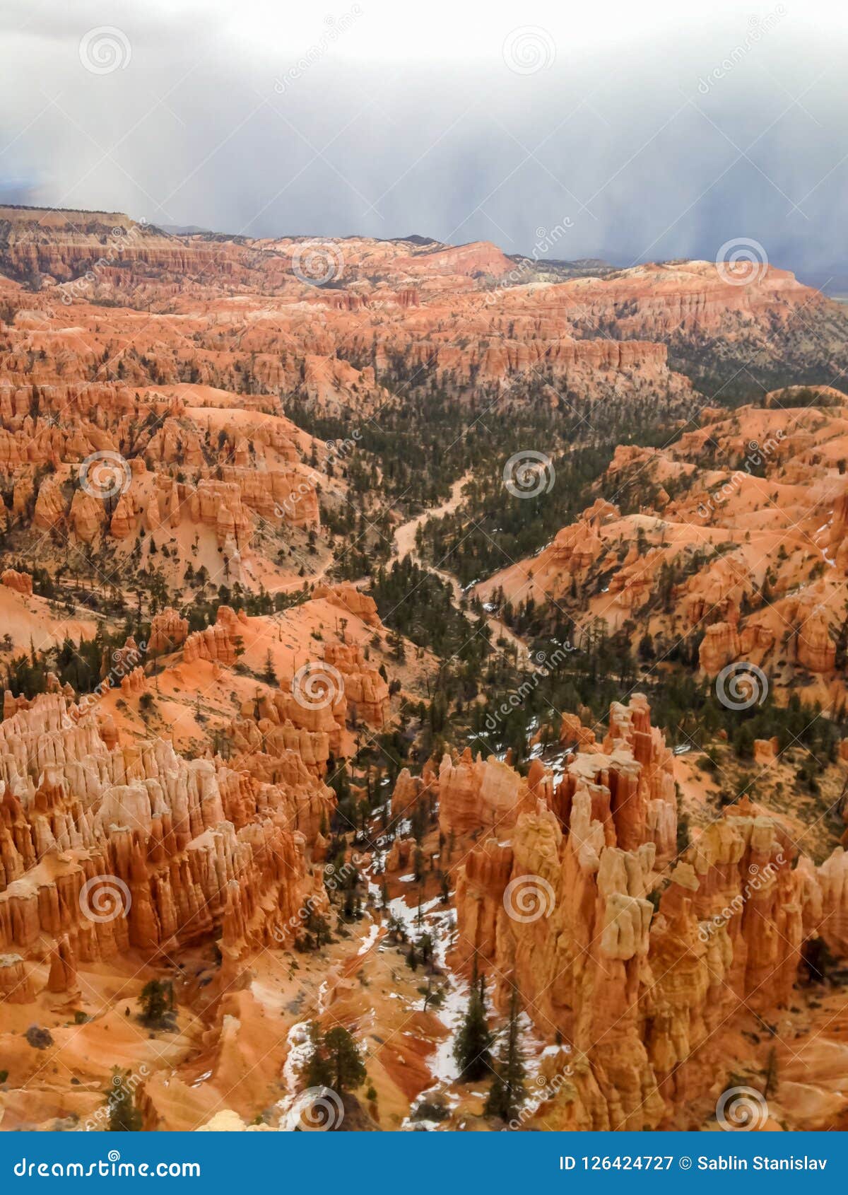 Grand Canyon Nature Reserve in Spring. USA. Stock Image - Image of ...
