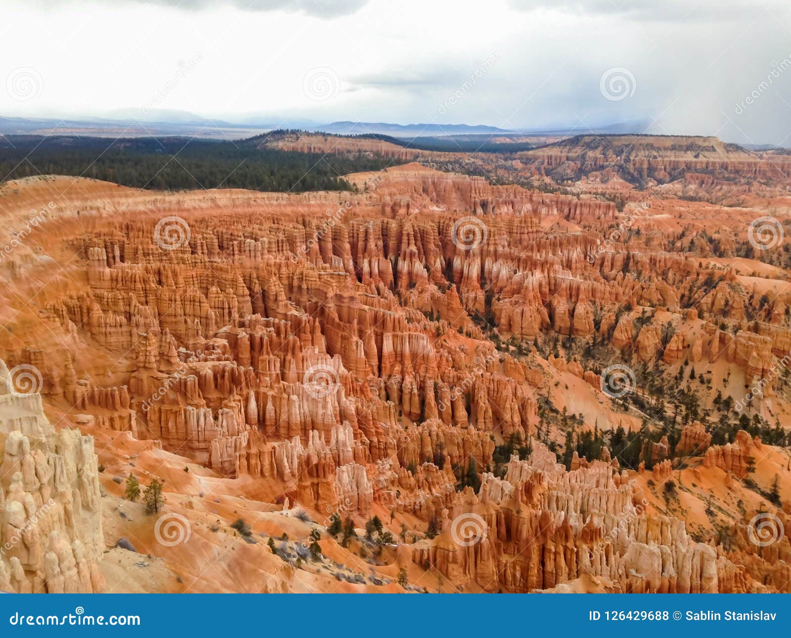 Grand Canyon Nature Reserve in Spring. USA. Stock Photo - Image of ...