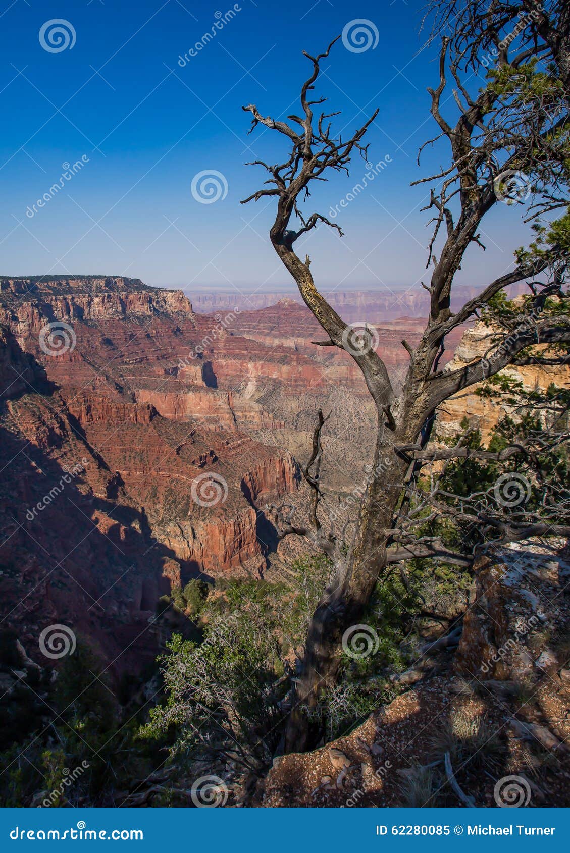 Grand Canyon North Rim stock image. Image of sand, mountain - 62280085