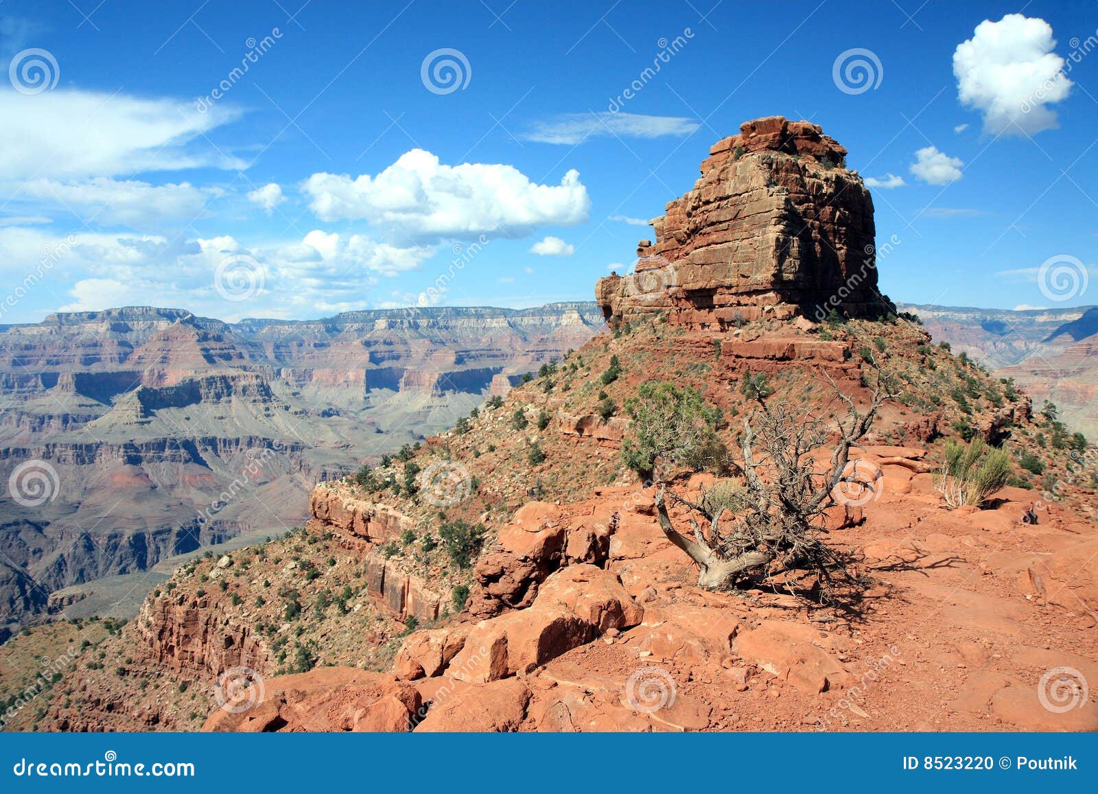 Grand Canyon NP, Arizona stock photo. Image of canyon - 8523220