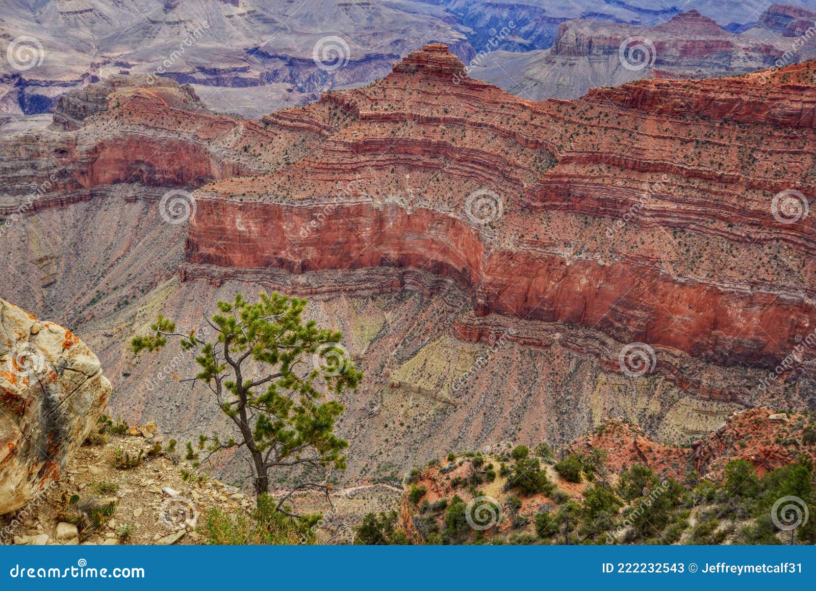 Grand Canyon with Red Rocks Stock Image - Image of rocks, arizona ...