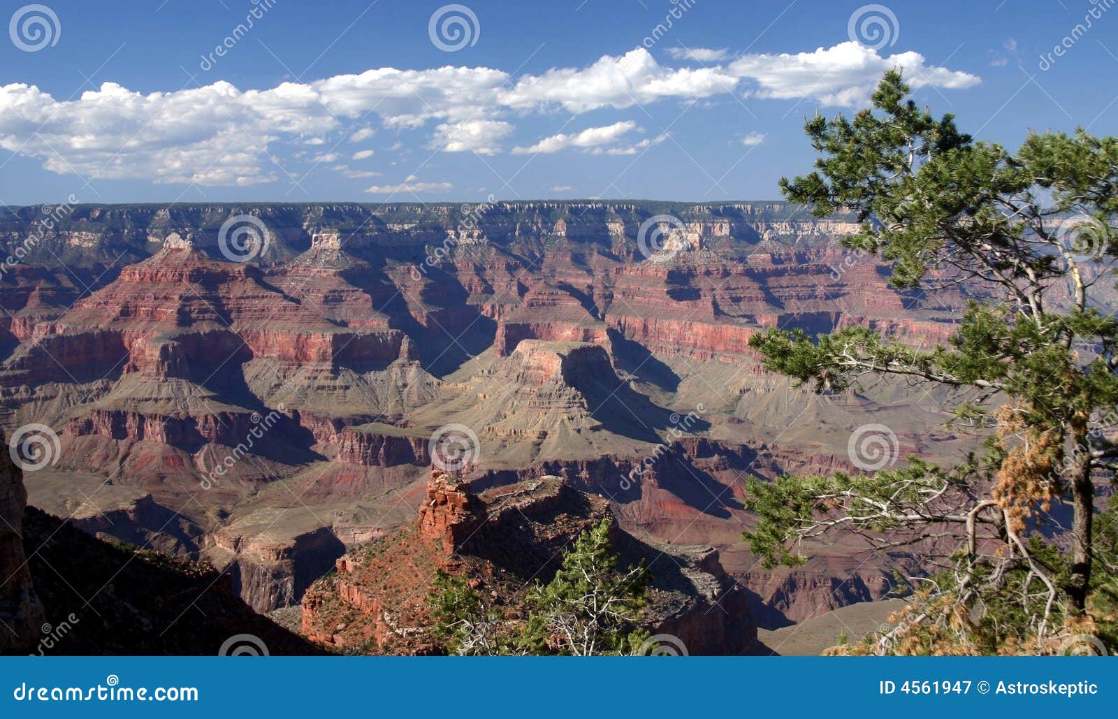 Grand Canyon, South Rim View Stock Image - Image of park, grand: 4561947