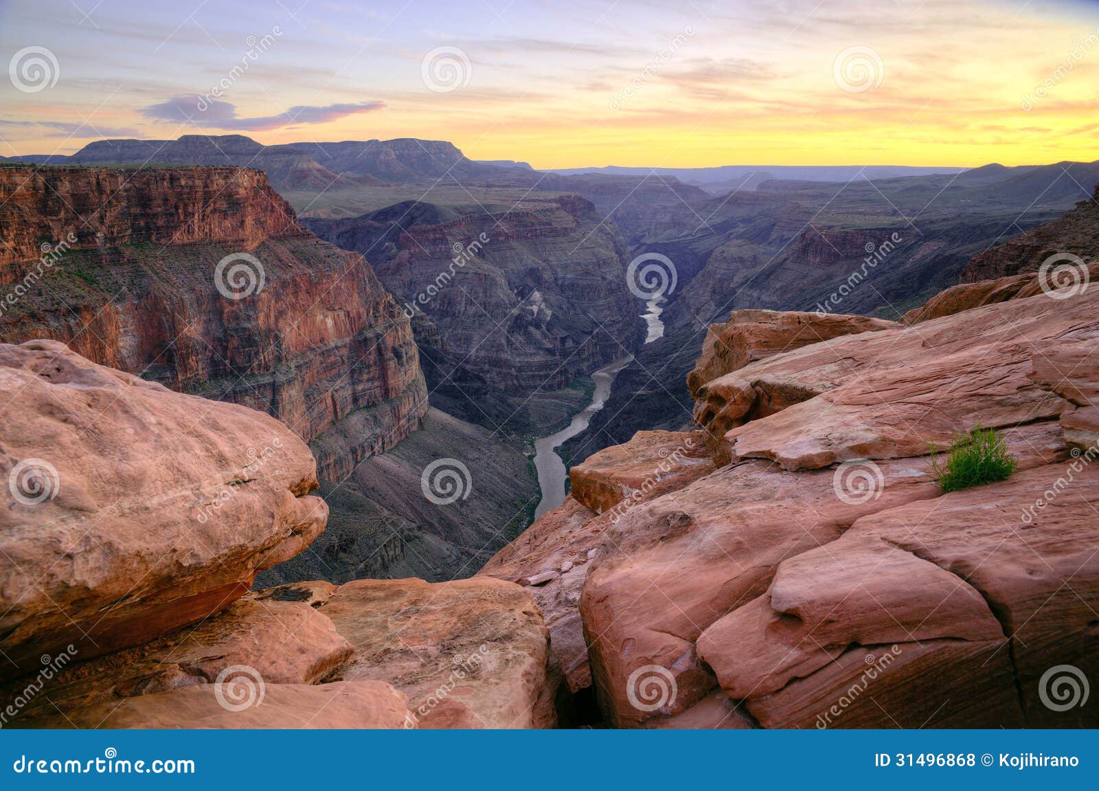 Grand Canyon - Toroweap Point Stock Photo - Image of physical, abrasive ...