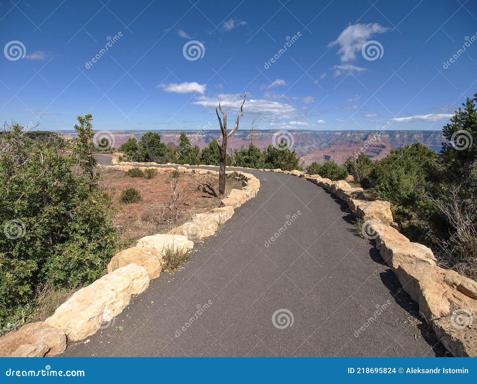 The Grand Canyon. Views of the Canyon, the Landscape and Nature Stock ...