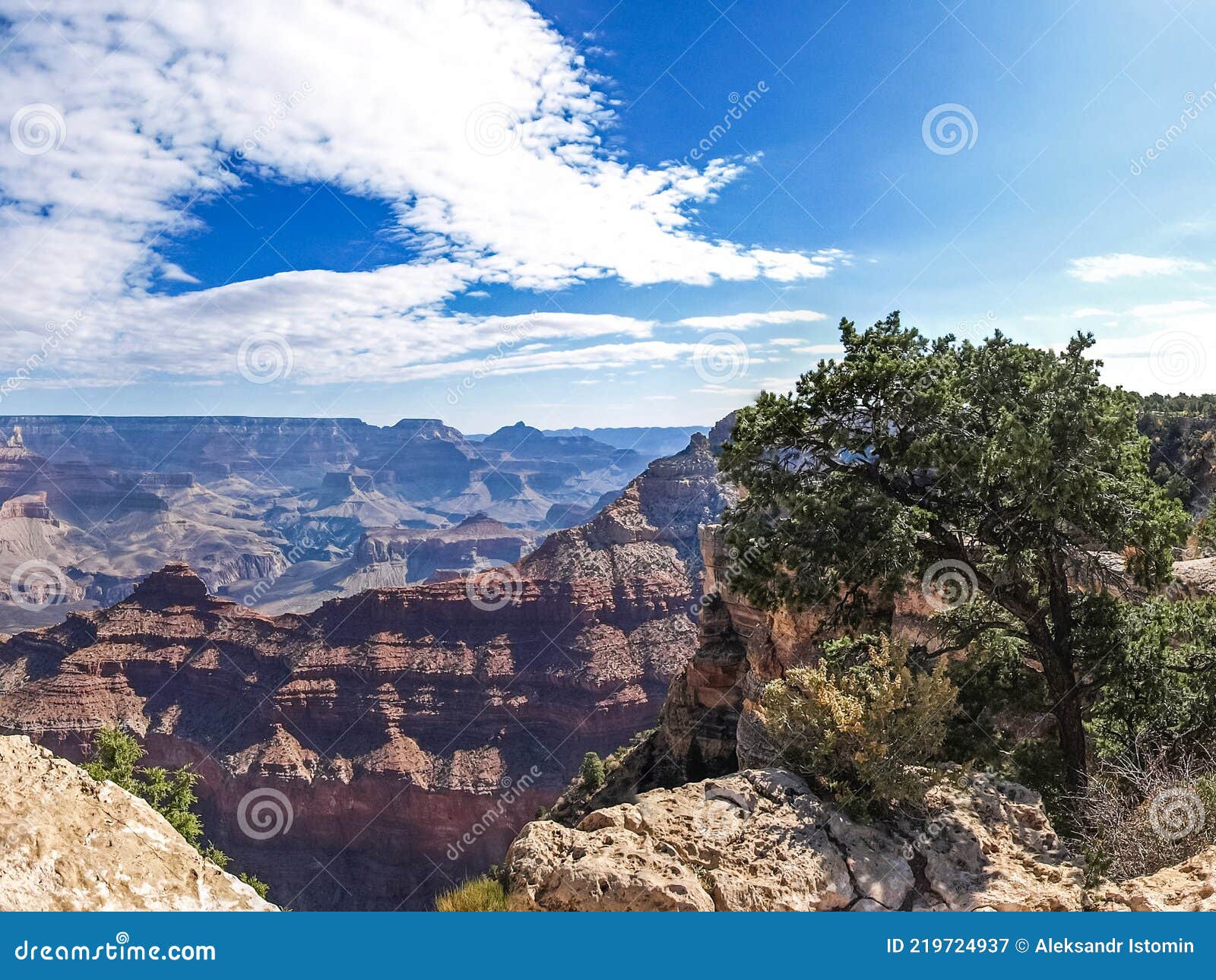 The Grand Canyon. Views of the Canyon, the Landscape and Nature Stock ...