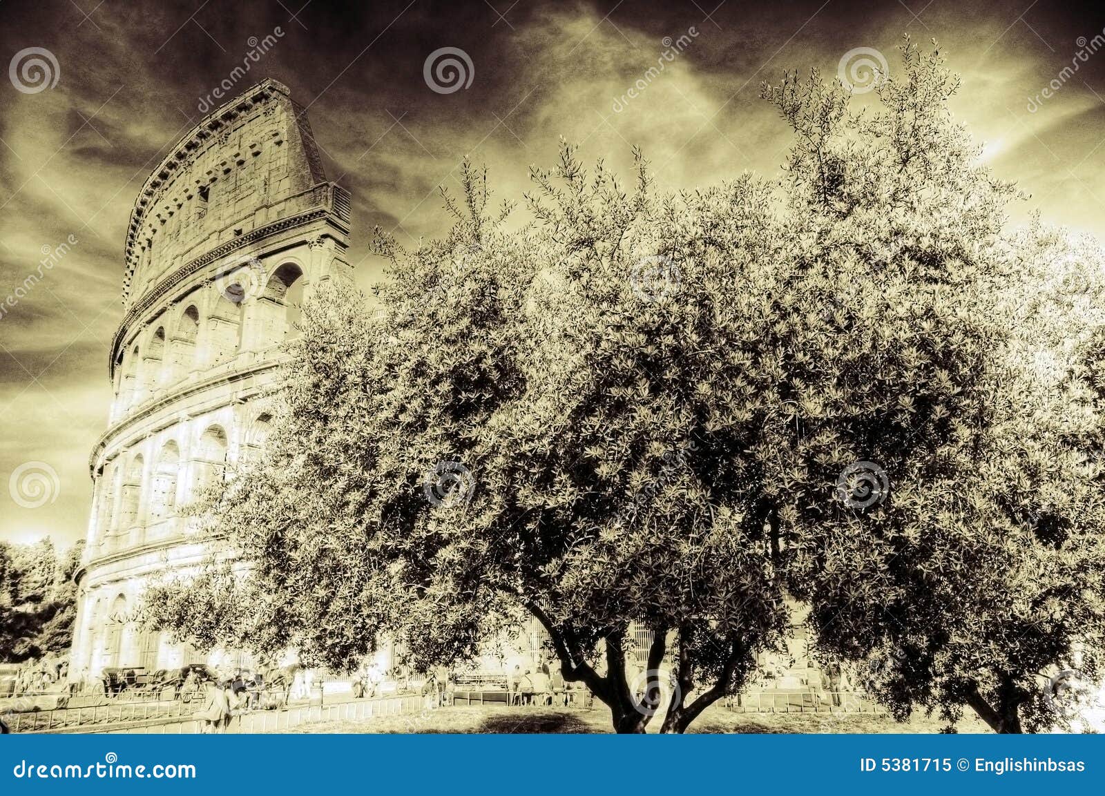 Colosseum On The Olive Trees In The Center Of Rome Stock Photography ...