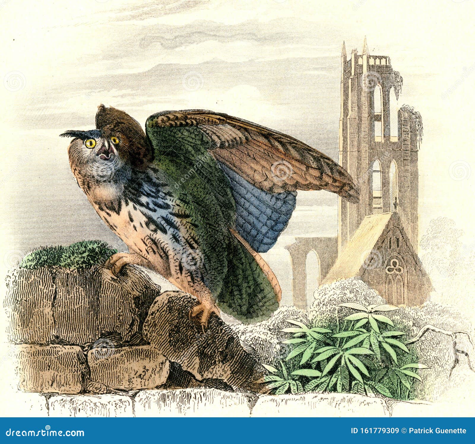 The Grand Duke Nicholas, Vintage Illustration Cartoon Vector ...