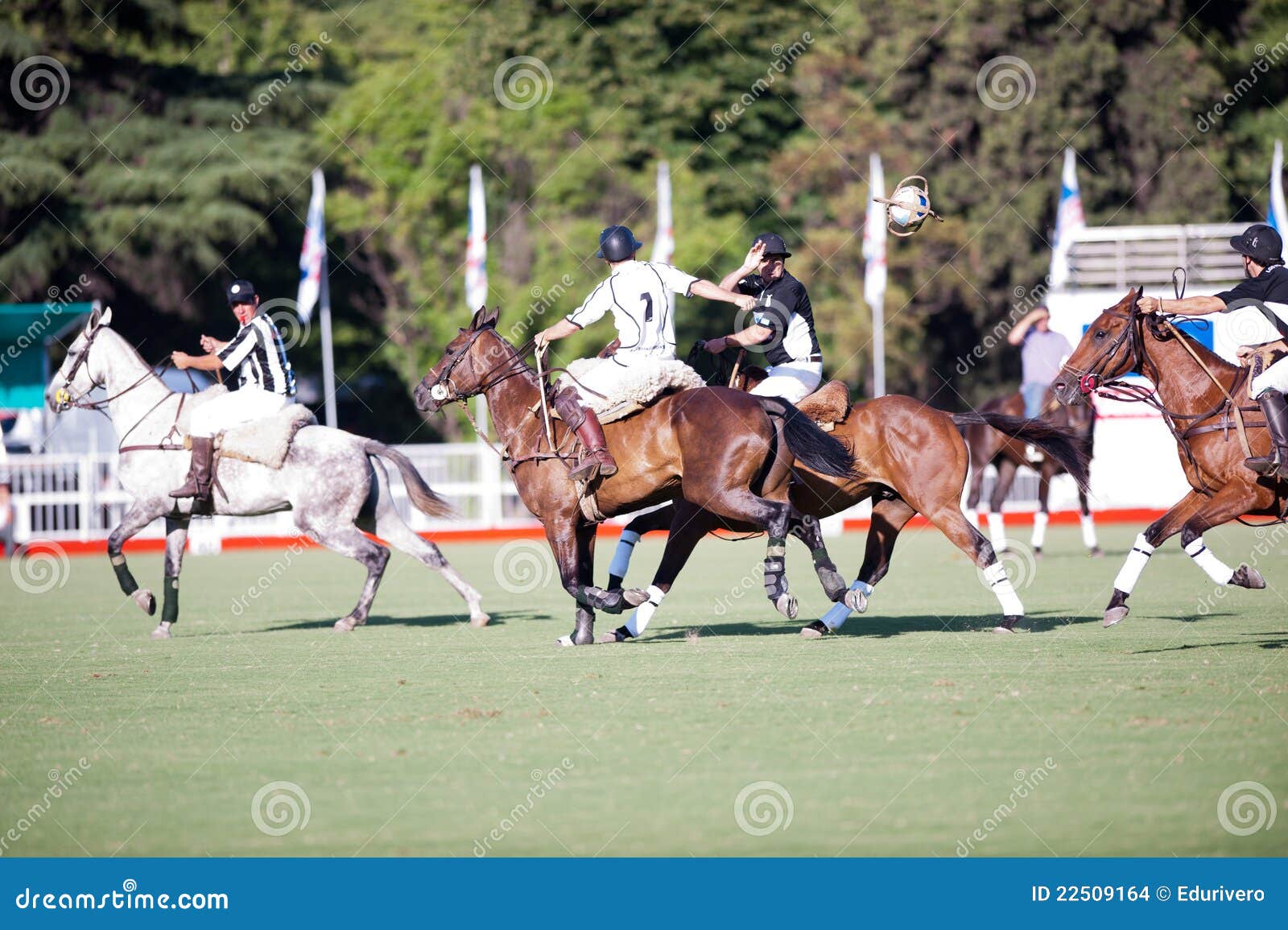 Grand Final of 70th Argentina Pato Open. Editorial Stock Image - Image ...